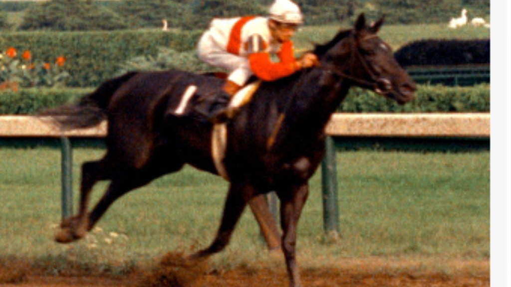 “All 1’s” Ruffian, The Real Story - Past The Wire