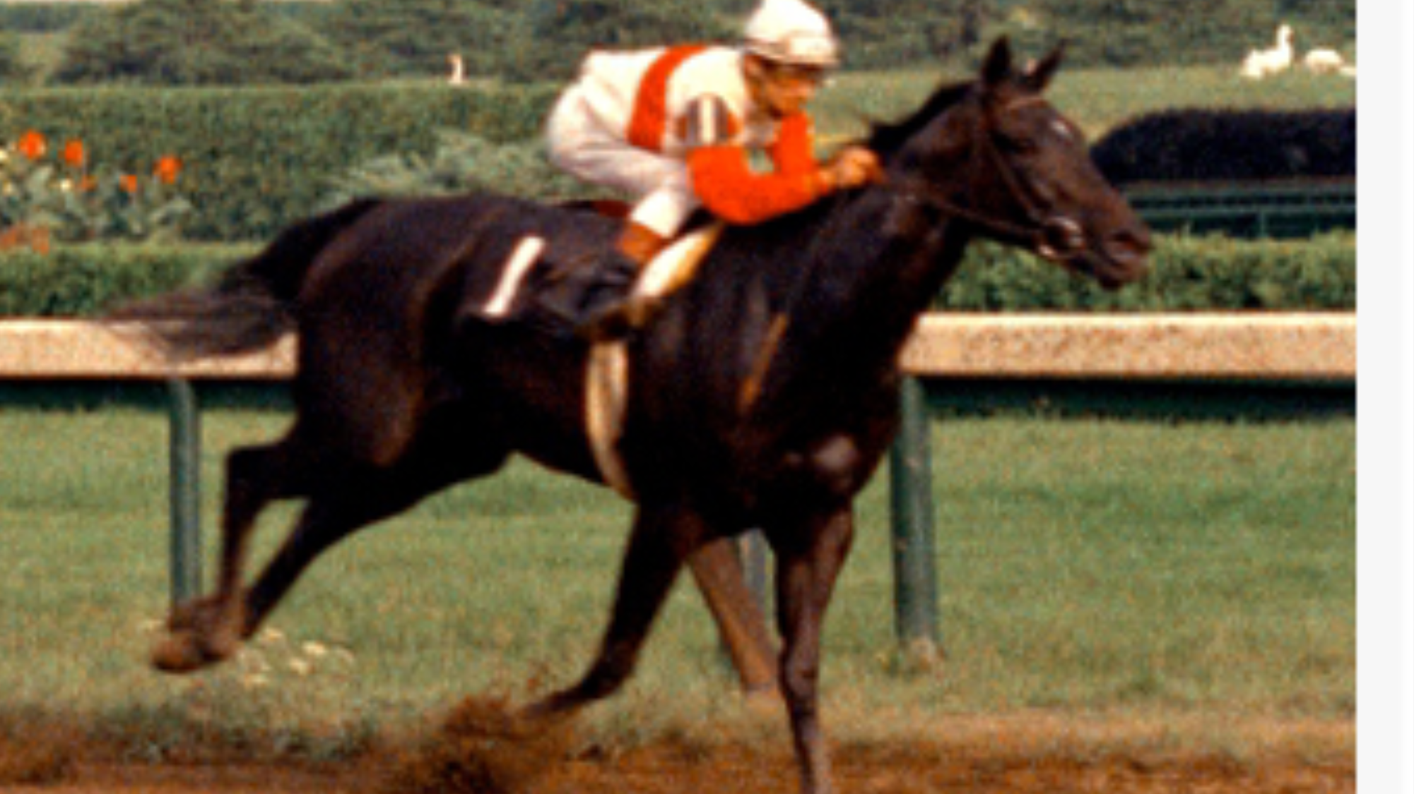 “All 1’s” Ruffian, The Real Story - Past The Wire