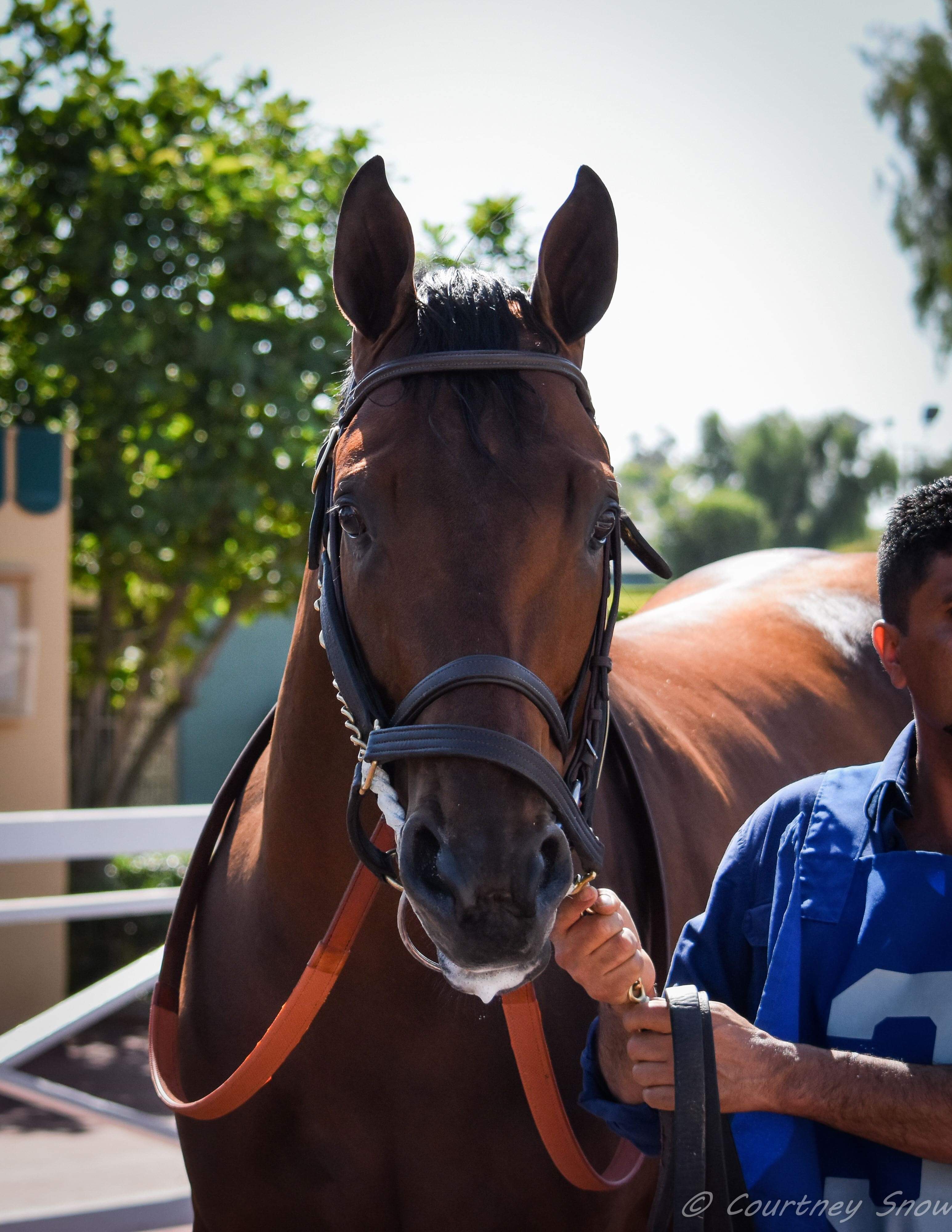 Battle of Midway- The Last Great Son Of Smart Strike - Past The Wire