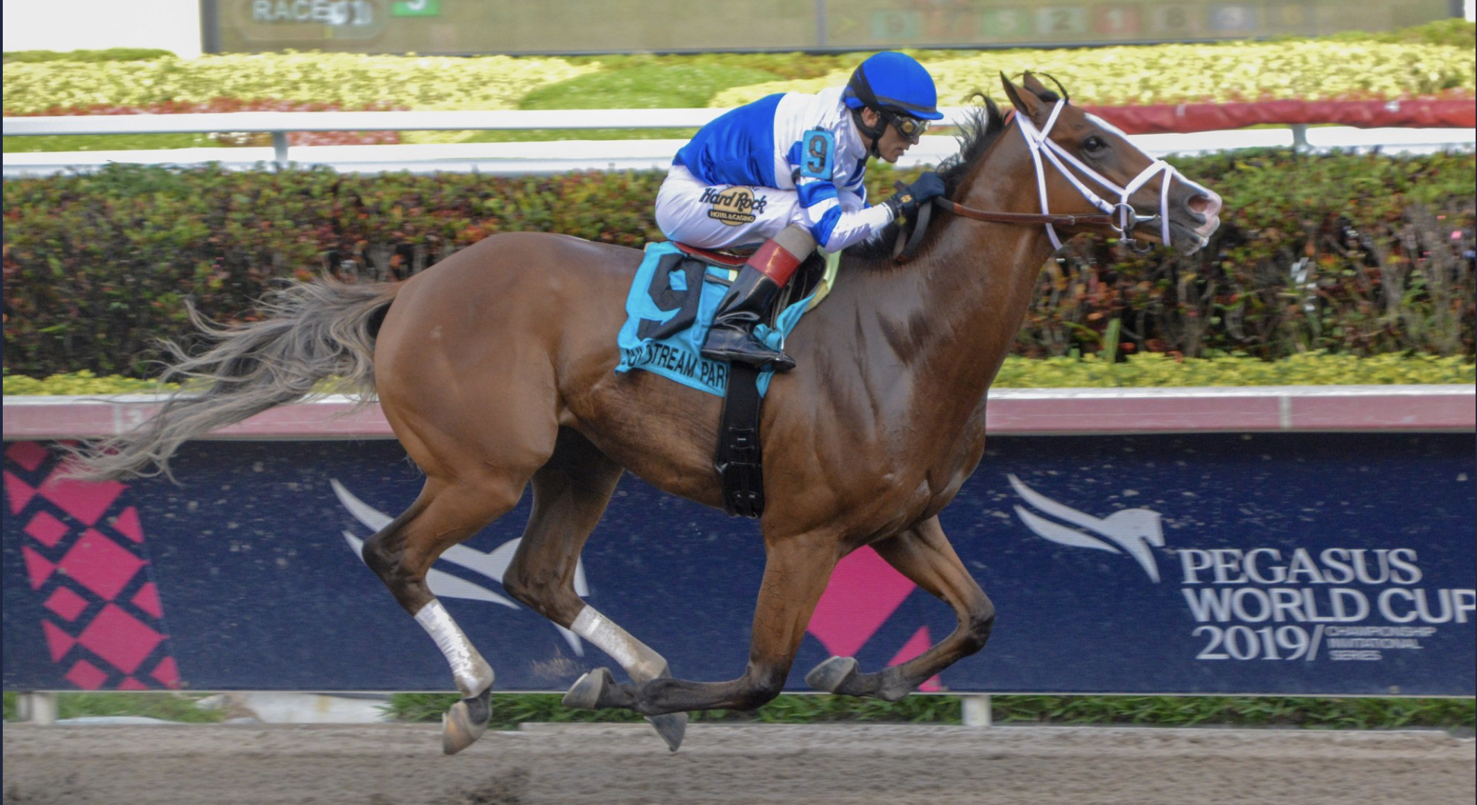 Prince Lucky Cruises to Victory - Past The Wire