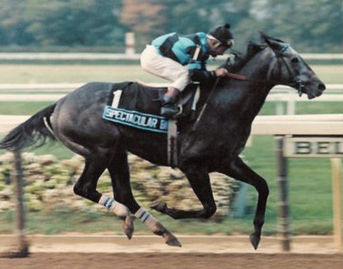Spectacular Bid: The Eastern Shore Horse - Past The Wire