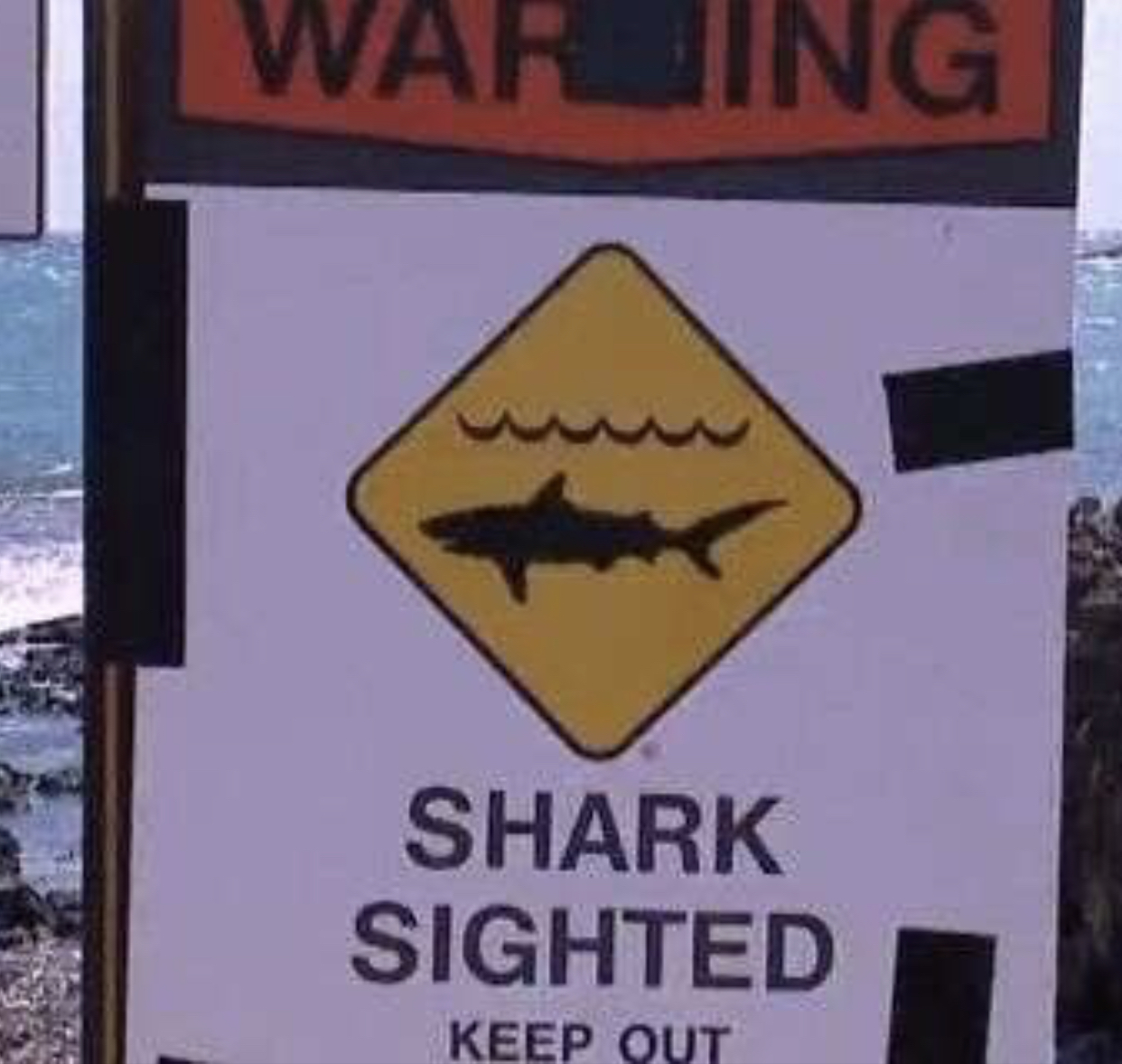 A Winning Angle on Speed Figures - Past The Wire