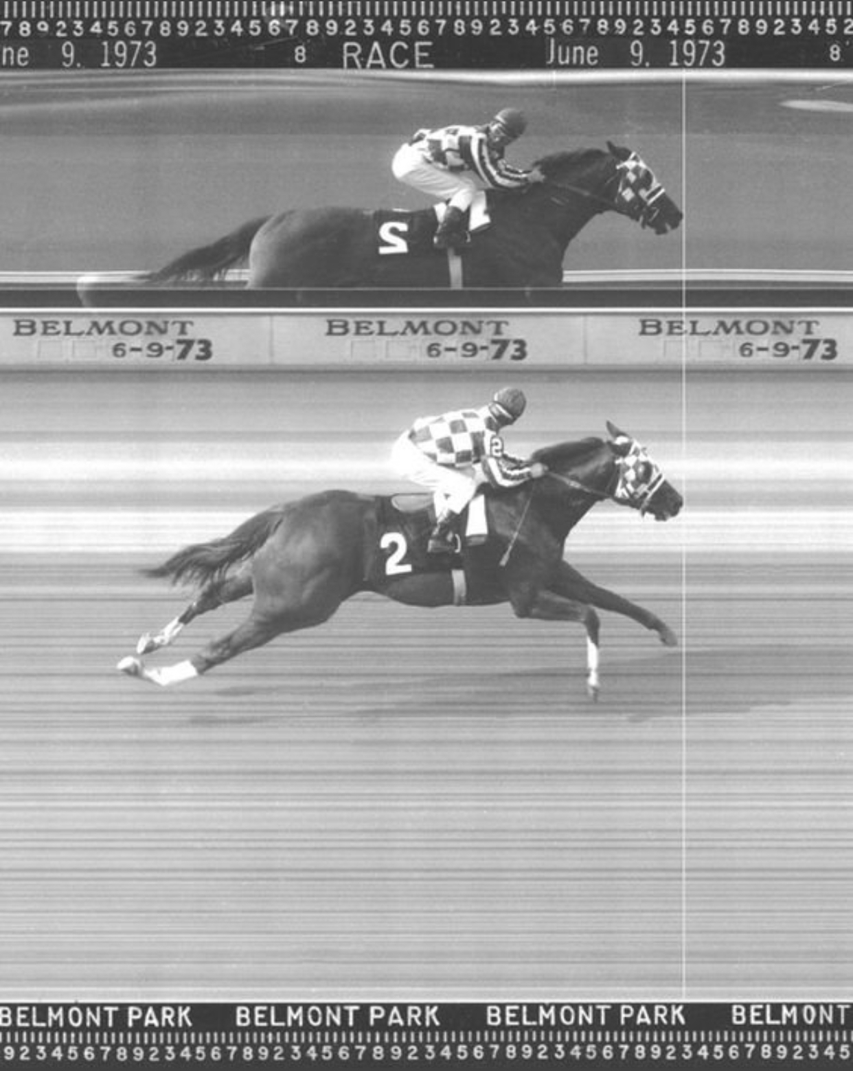 The Basic Rules of Racehorse Conformation - Past The Wire