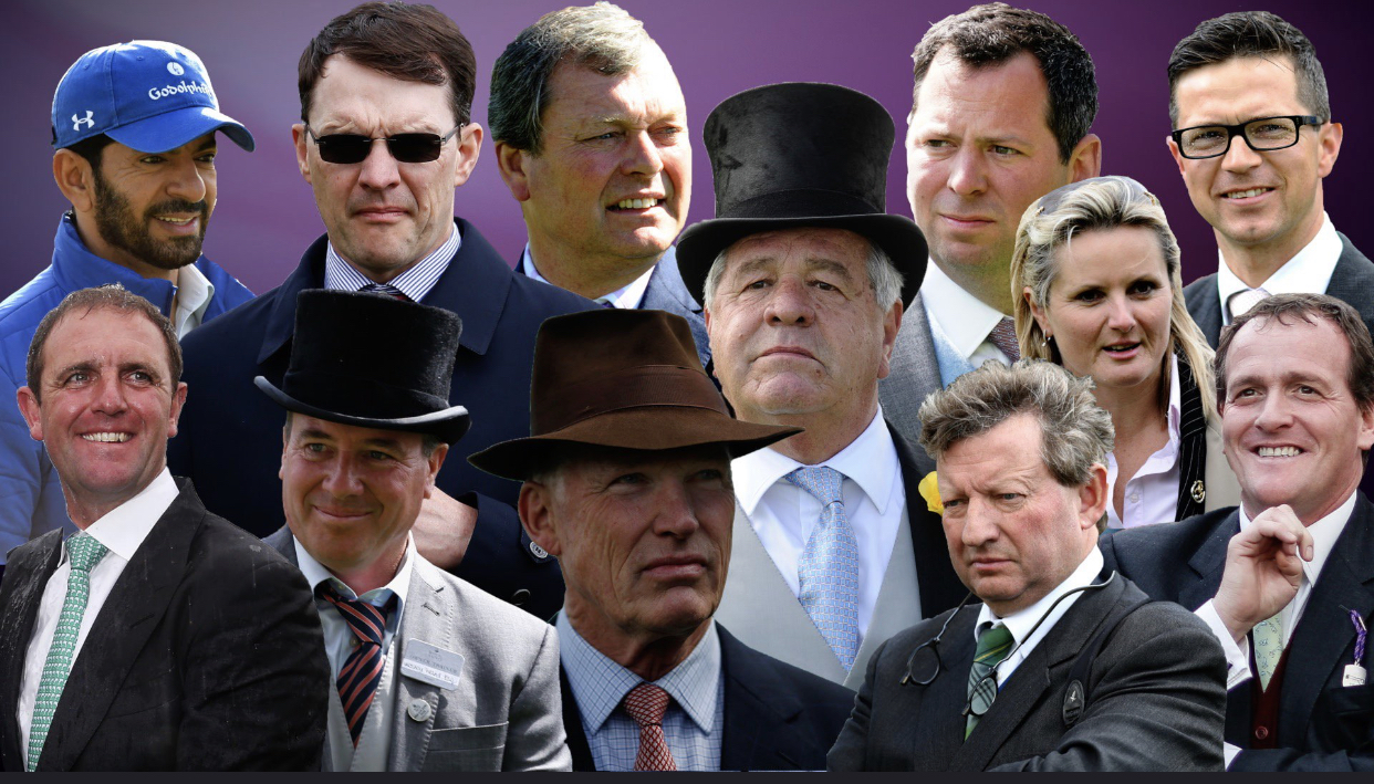 Choosing a Trainer - Past The Wire