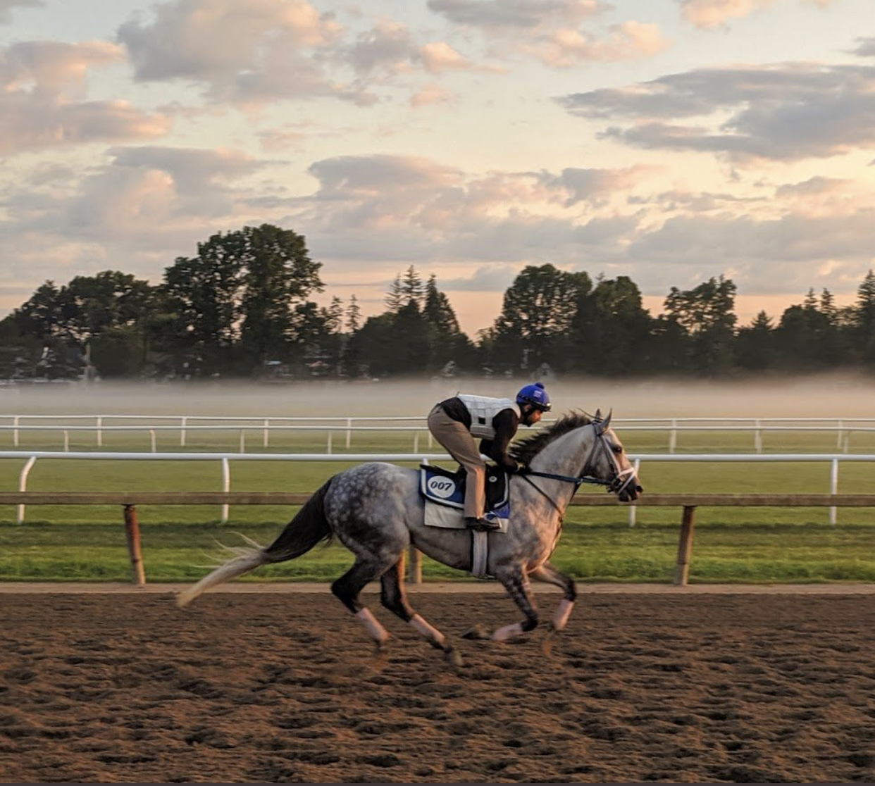 The Travers, 2019 Preview - Past The Wire