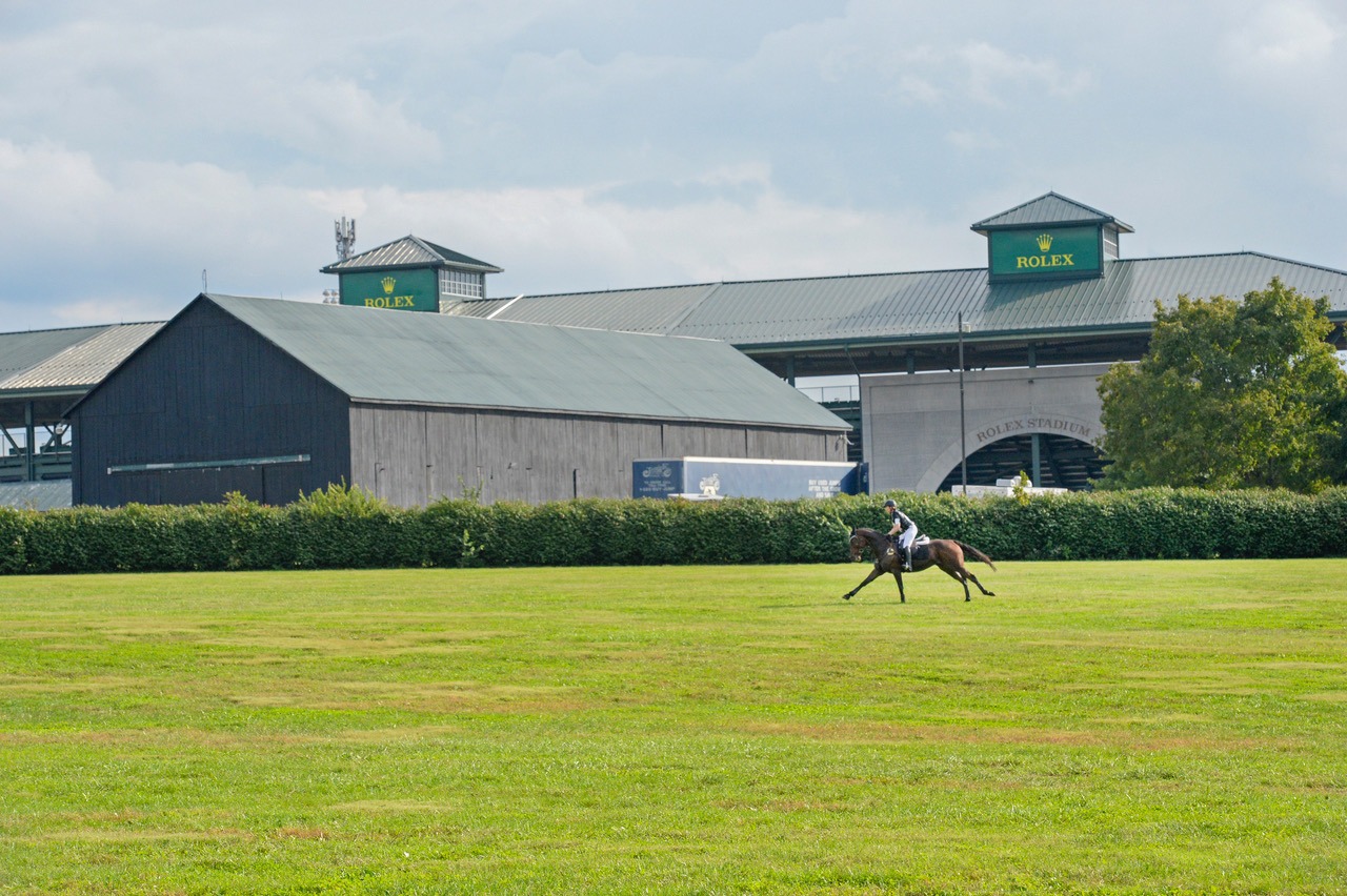 The Thoroughbred Makeover at the Kentucky Horse Park and National ...