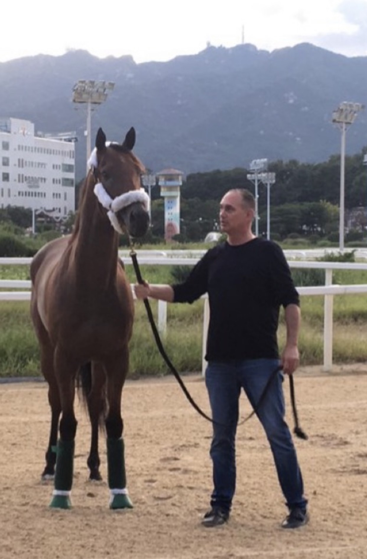 Gulfstream Park: Trainer Peter Walder off to Korea - Past The Wire