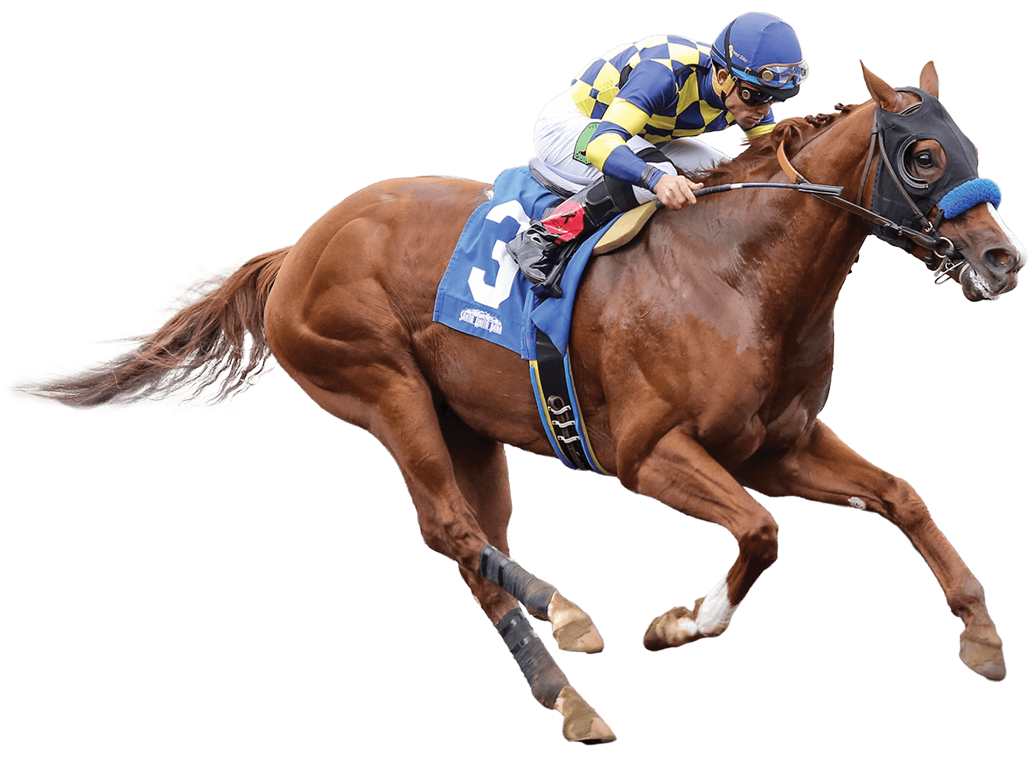 FIRST TWO WINNERS for Kentucky-Bred 1st Crop Florida Sire CHITU - Past ...