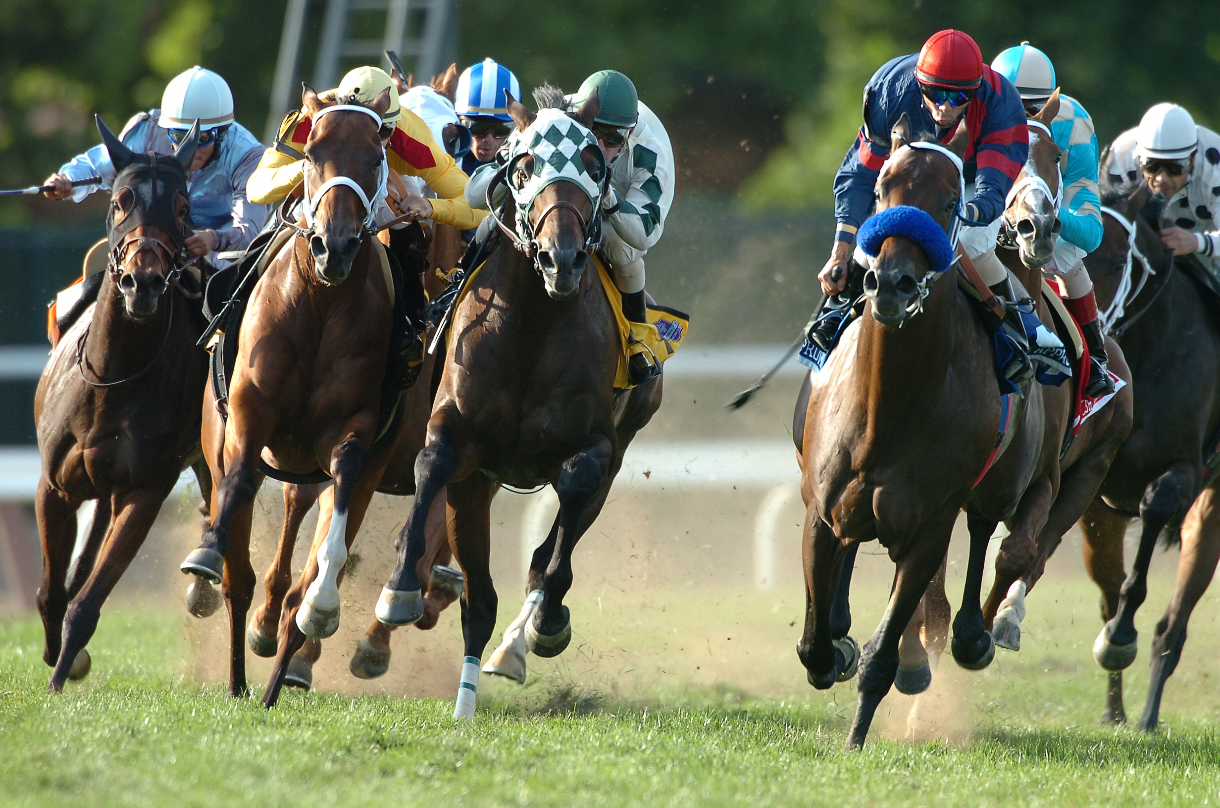 Adding Blinkers to a Racehorse’s Equipment - Past The Wire