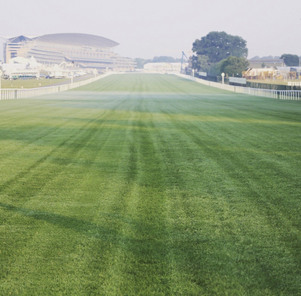 What Makes a Turf Horse - Past The Wire