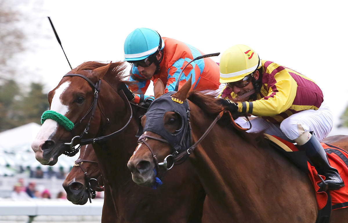 Hawkish ready for return in Belmont Turf Sprint Invitational - Past The ...