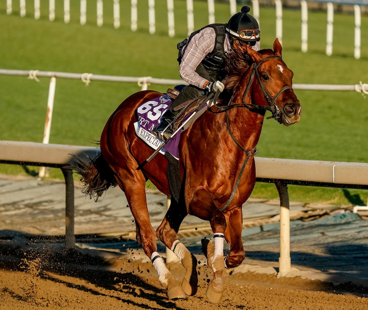 Breeders’ Cup Big Ass Fans Dirt Mile Update - Past The Wire