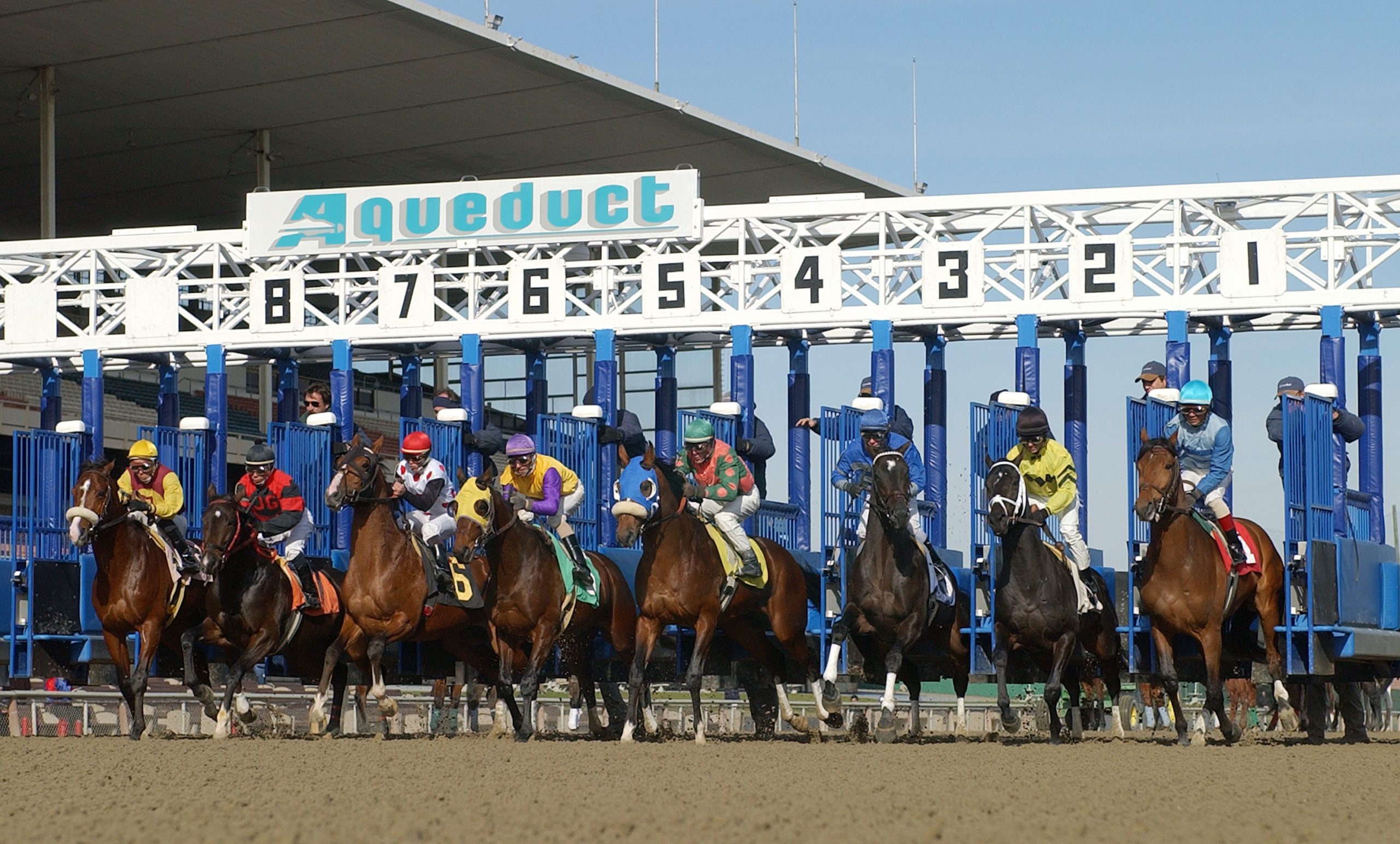 Mr. Buff Looks to Rebound Back Home in New York in the Alex M. Robb at ...