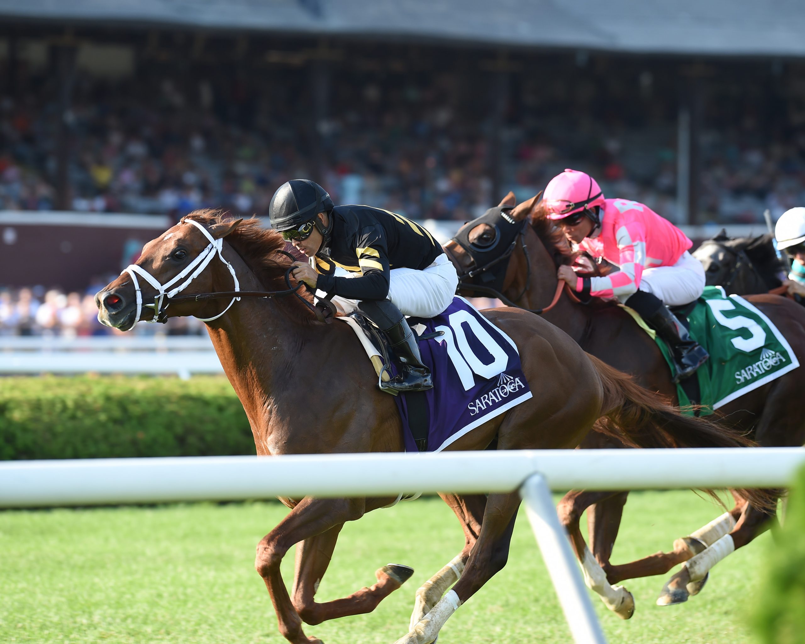 Shorter Ground For Channel Cat In Ft. Lauderdale - Past The Wire