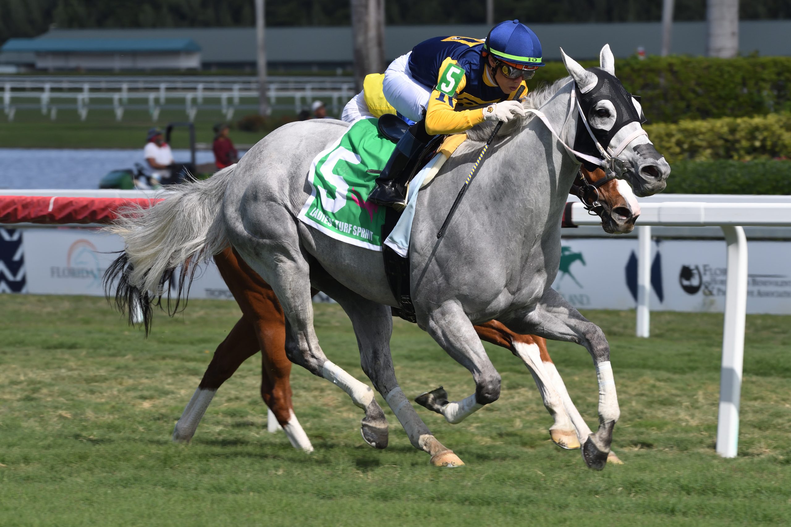 Jean Elizabeth Rolls In Turf Debut - Past The Wire