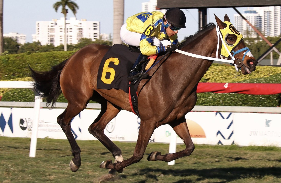 Marcos Meneses at a Price - Past The Wire