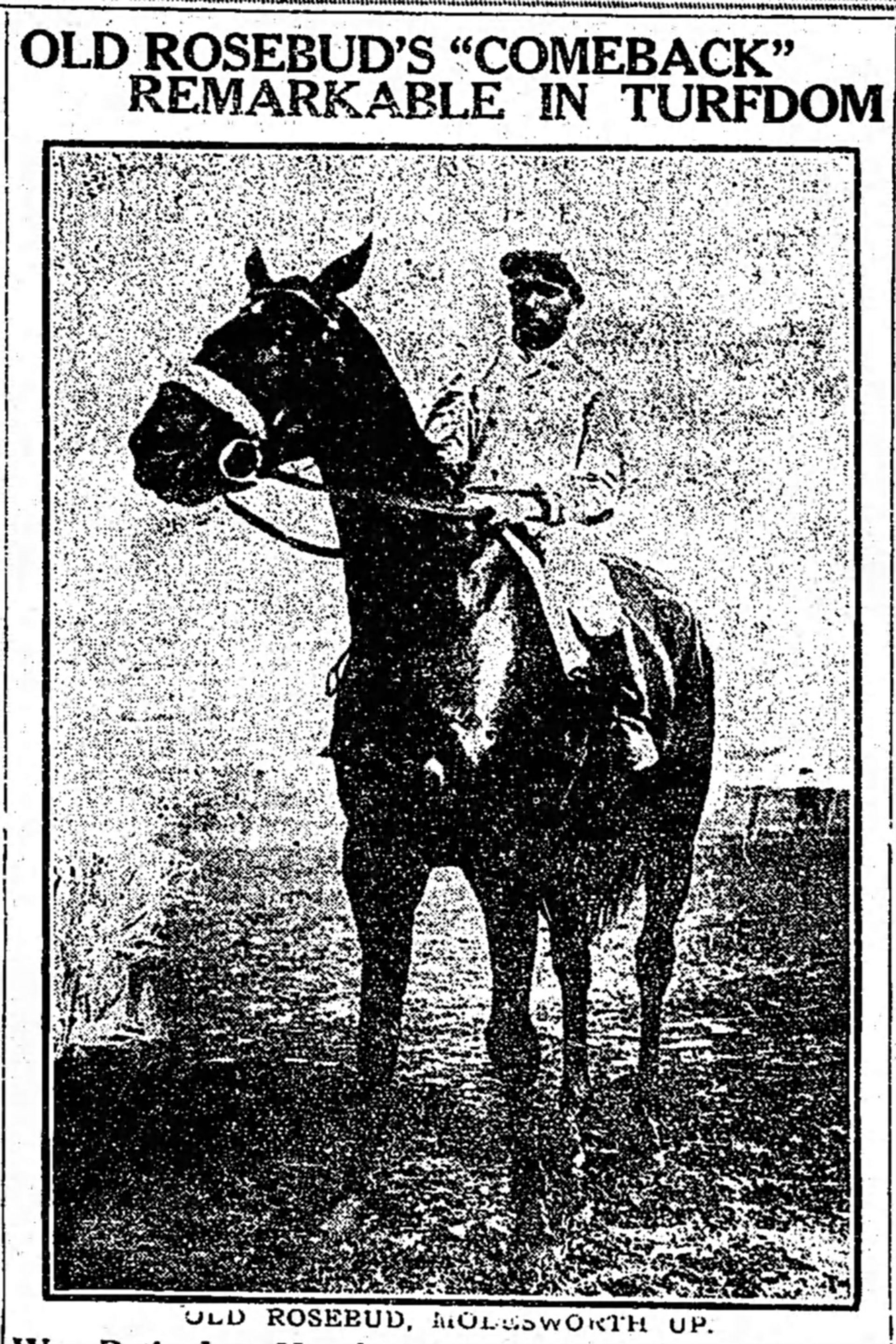 Two Comebacks for One Great Horse: The Saga of Old Rosebud - Past The Wire