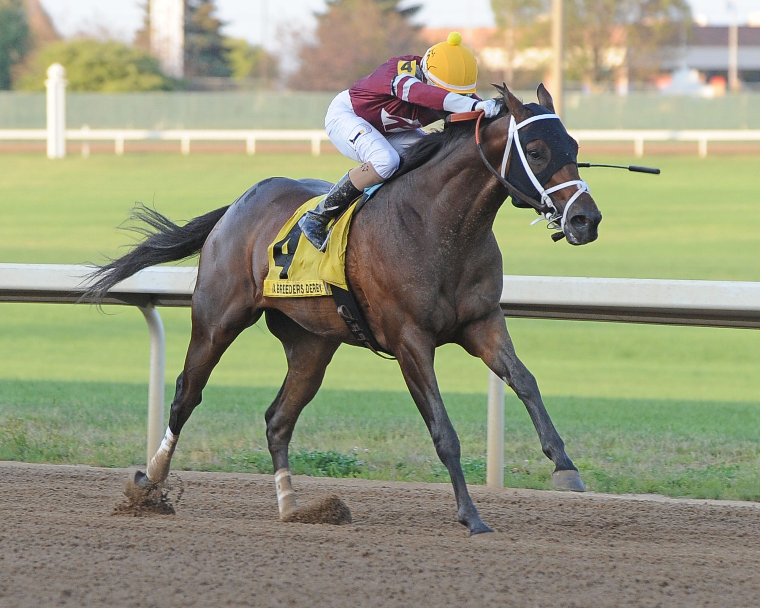 Iowa Champions Announced - Past The Wire