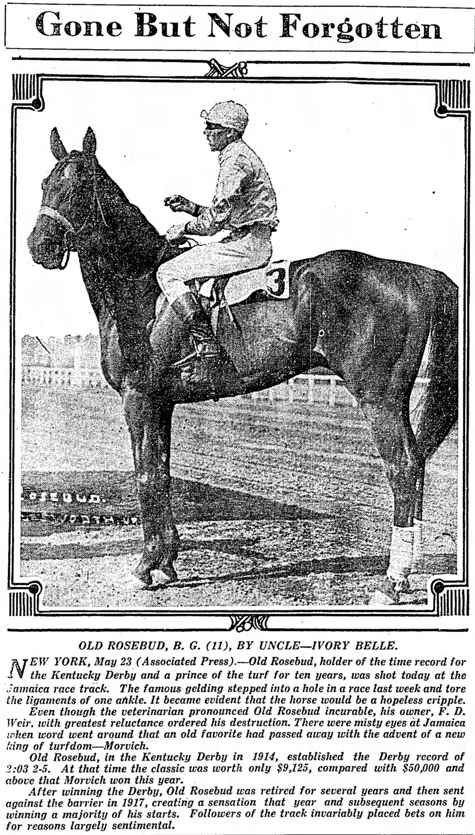 Two Comebacks for One Great Horse: The Saga of Old Rosebud - Past The Wire