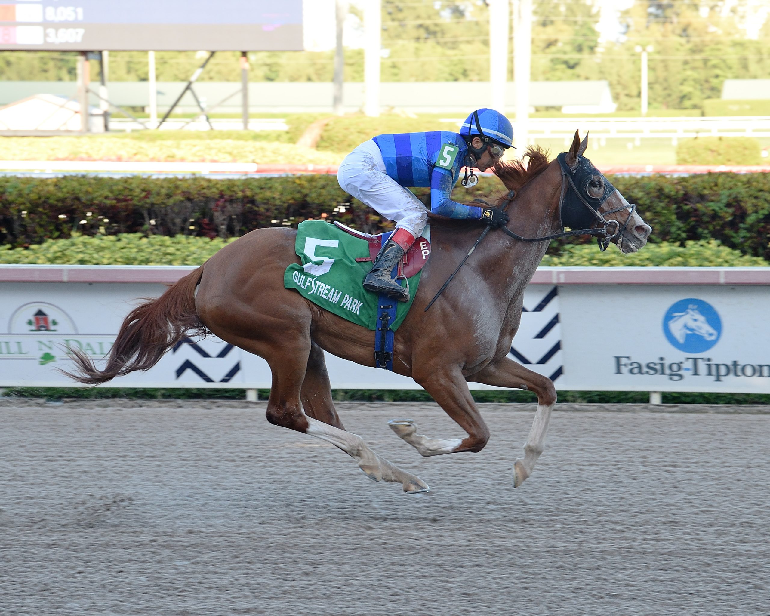 Sally’s Curlin Last to First in Hurricane Bertie - Past The Wire