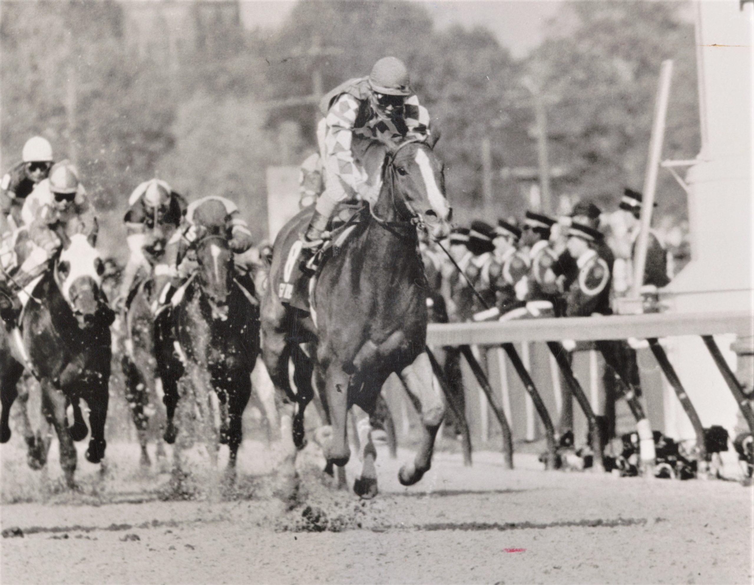 A Lady of History and Heart: Genuine Risk - Past The Wire