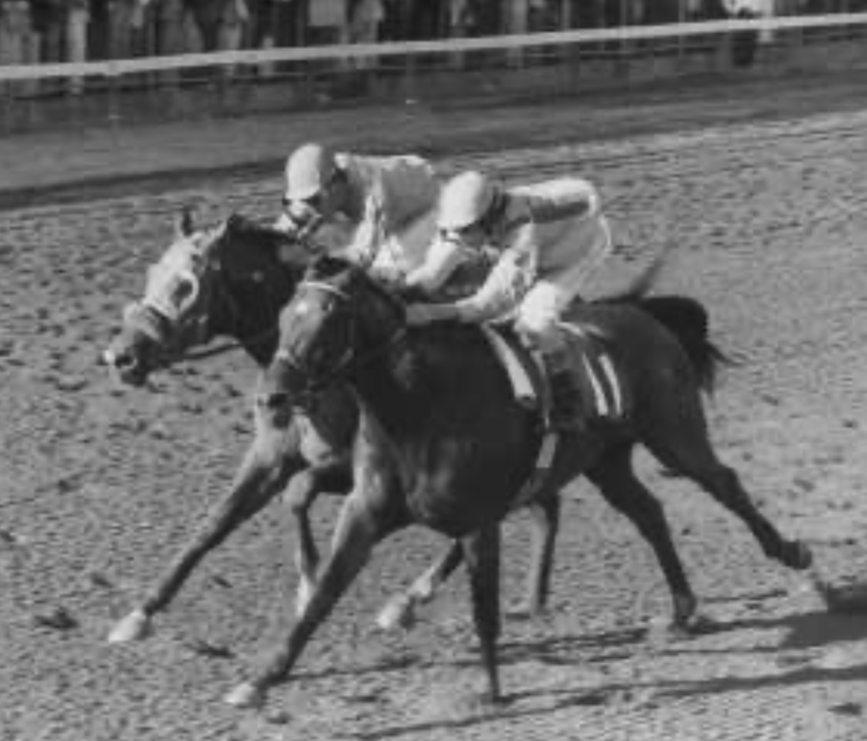 Run Dusty Run: Remembering Second Place - Past The Wire