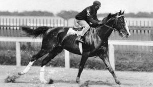 Black Horsemen Matter: A Look Back at History - Past The Wire