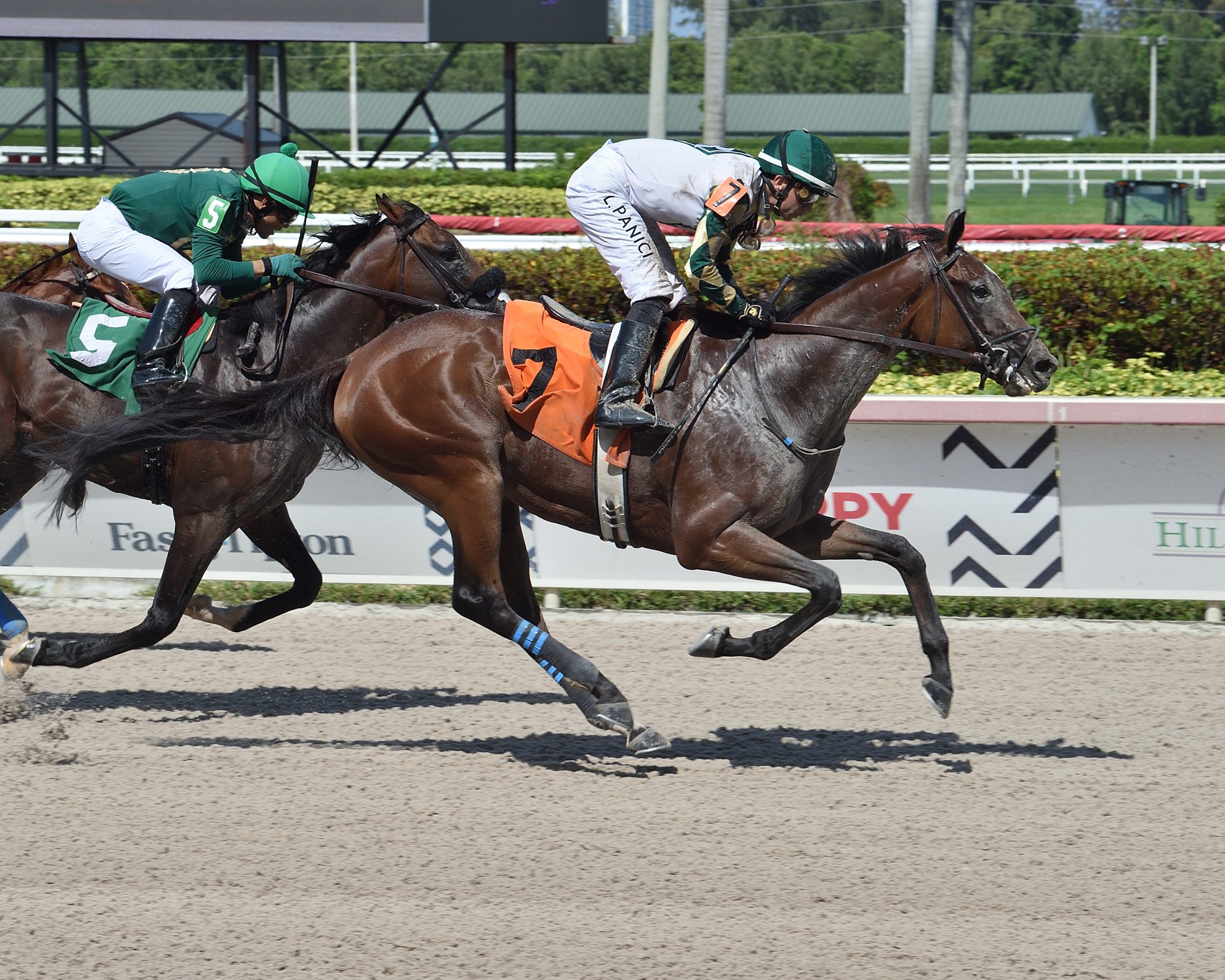 Sole Volante Victorious in Return Wednesday at Gulfstream - Past The Wire