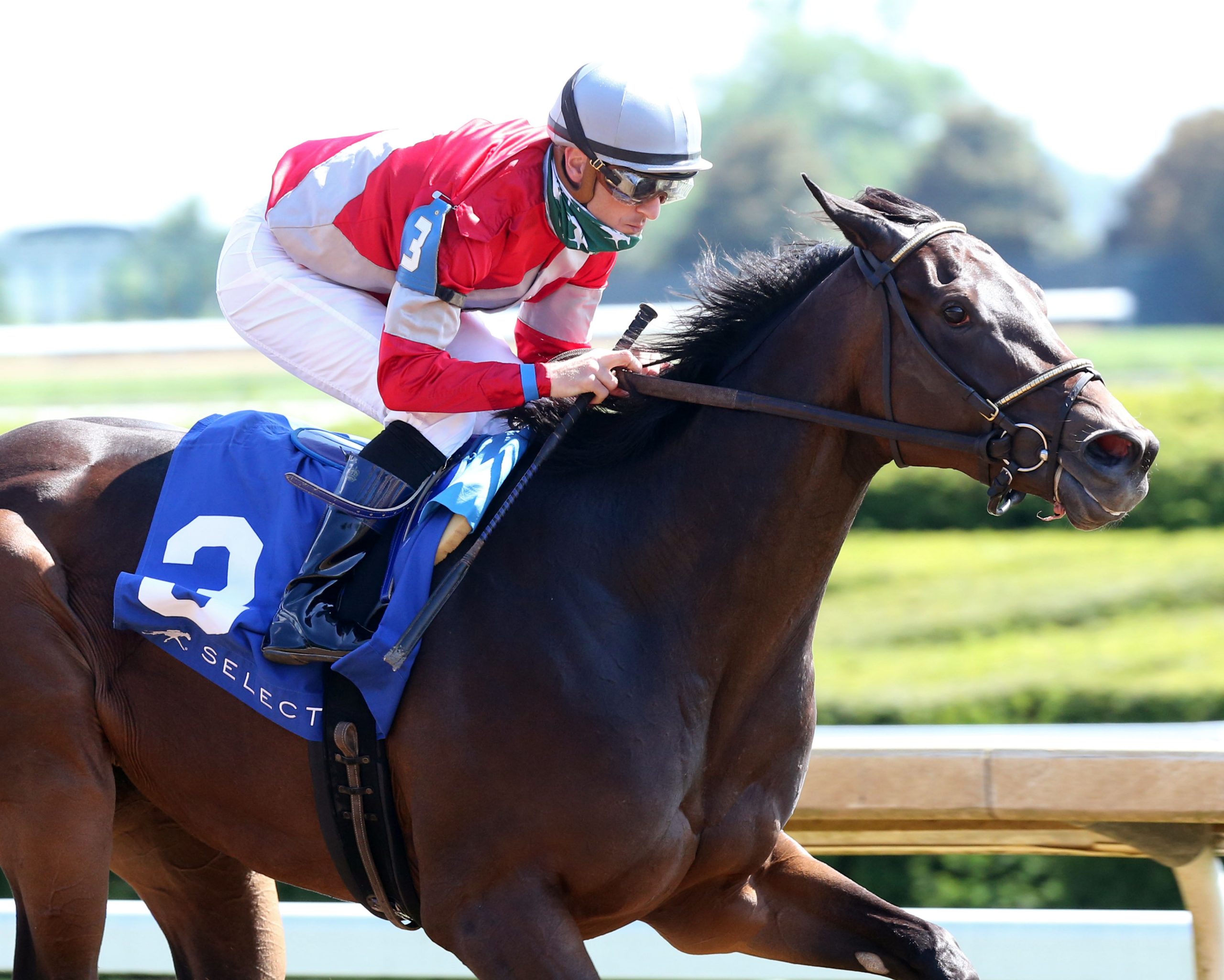 Four Graces Sets Track Record in Beaumont Presented by Keeneland Select ...