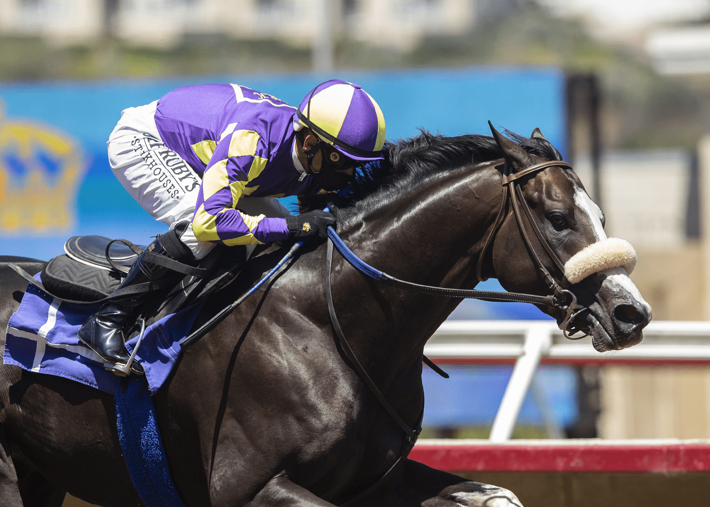 Grade 1 winner Honor A. P. retired to Lane’s End Farm - Past The Wire