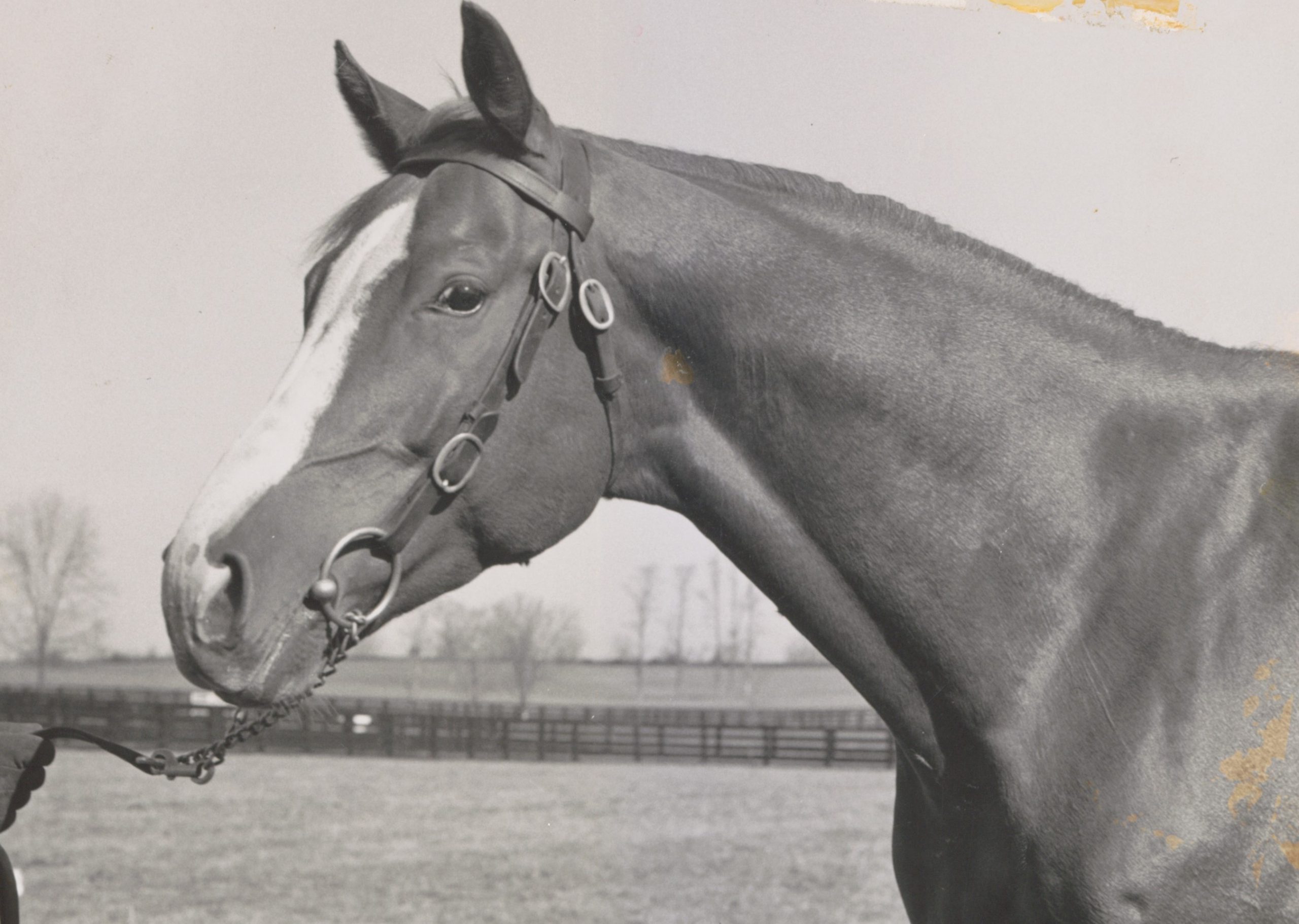 Late to the Show, Just in Time for History: Stage Door Johnny Spoils a ...