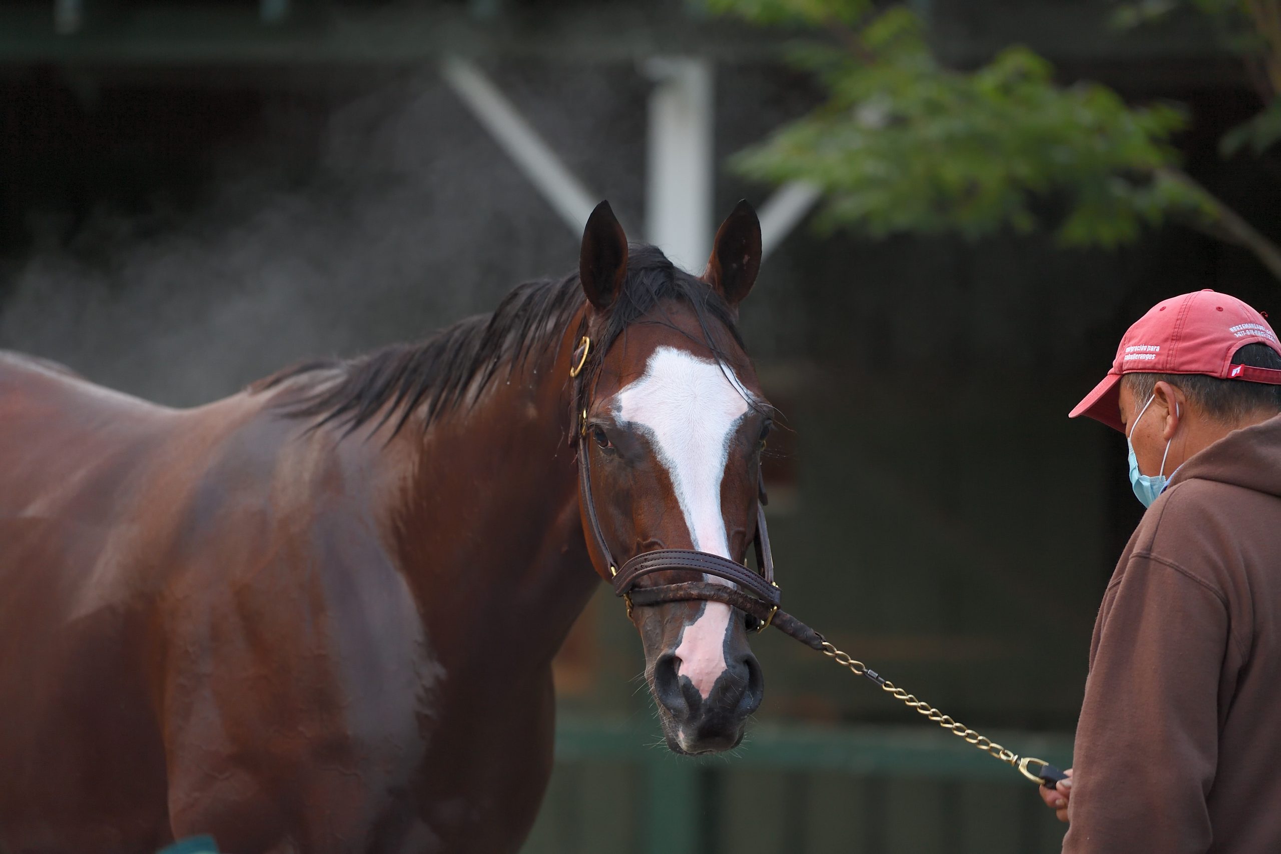 Manny Franco says Tiz the Law will return to Churchill Downs an ...