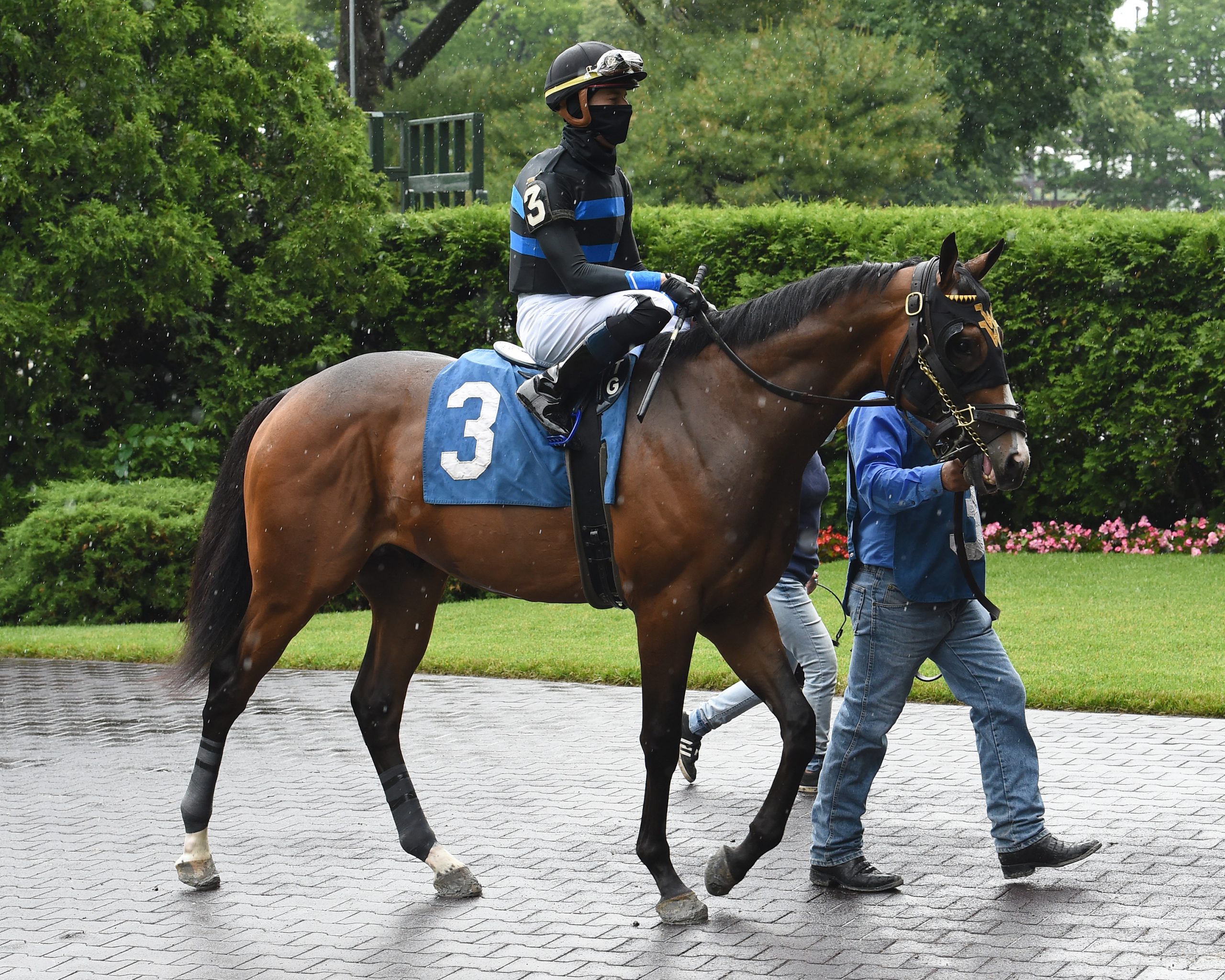 Wesley Ward with dual favorites in the Bal a Bali Juvenile Turf Sprint ...