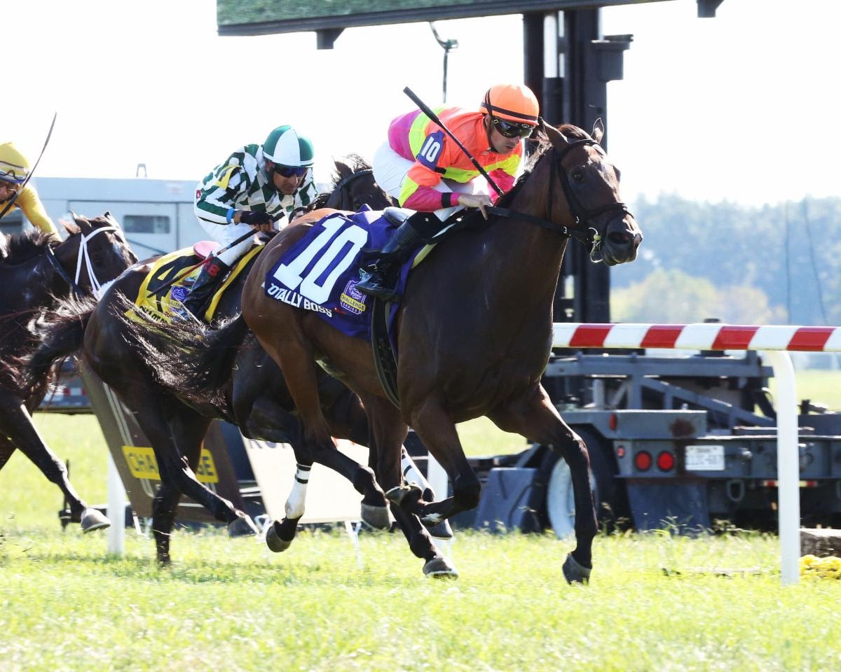Totally Boss Seeks Second Turf Sprint Win 3 Years After First - Past ...