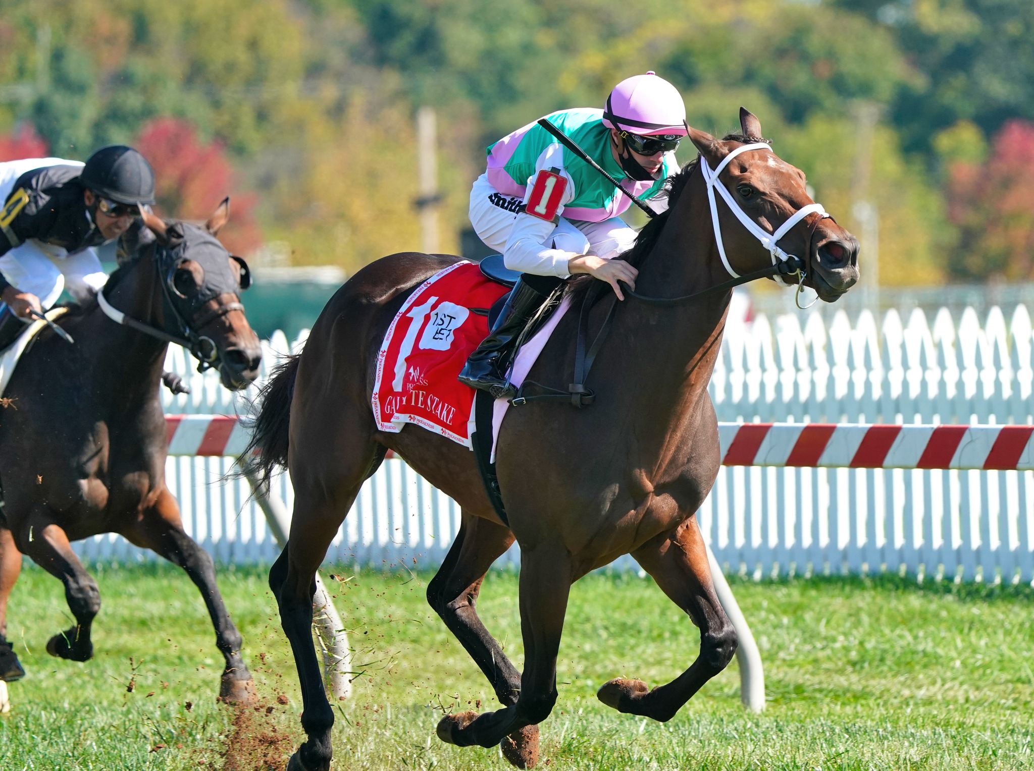 Juliet Foxtrot Dances to $150,000 Gallorette Victory - Past The Wire
