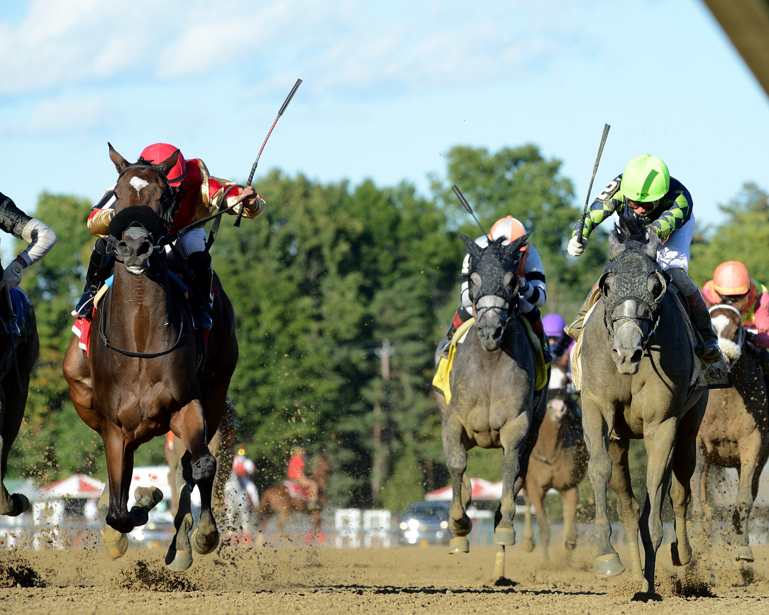 Eagle Orb Cuts back in distance for Six Furlong Notebook Stakes - Past ...