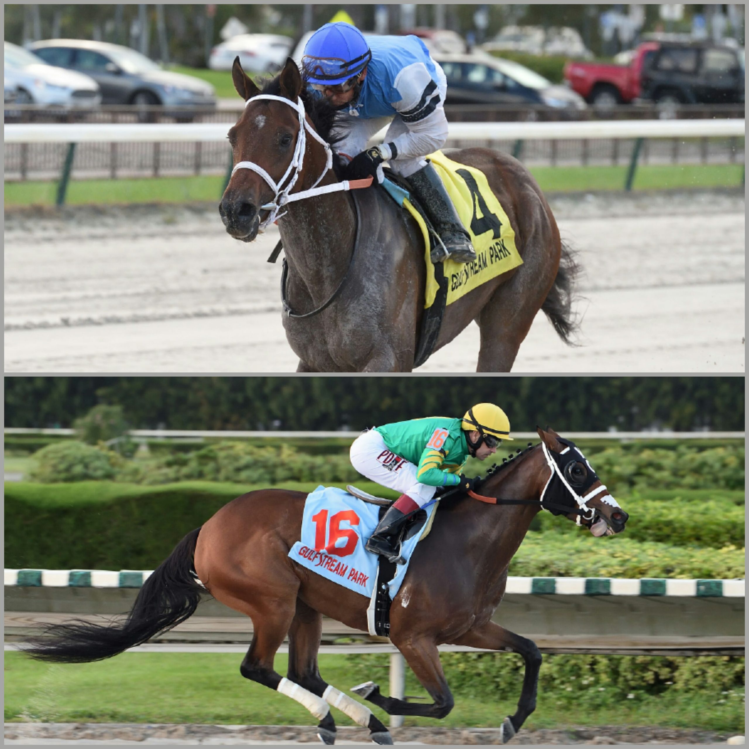 Off the turf: Big Thorn dominates Juvenile Turf; Thissmytime dazzles in ...