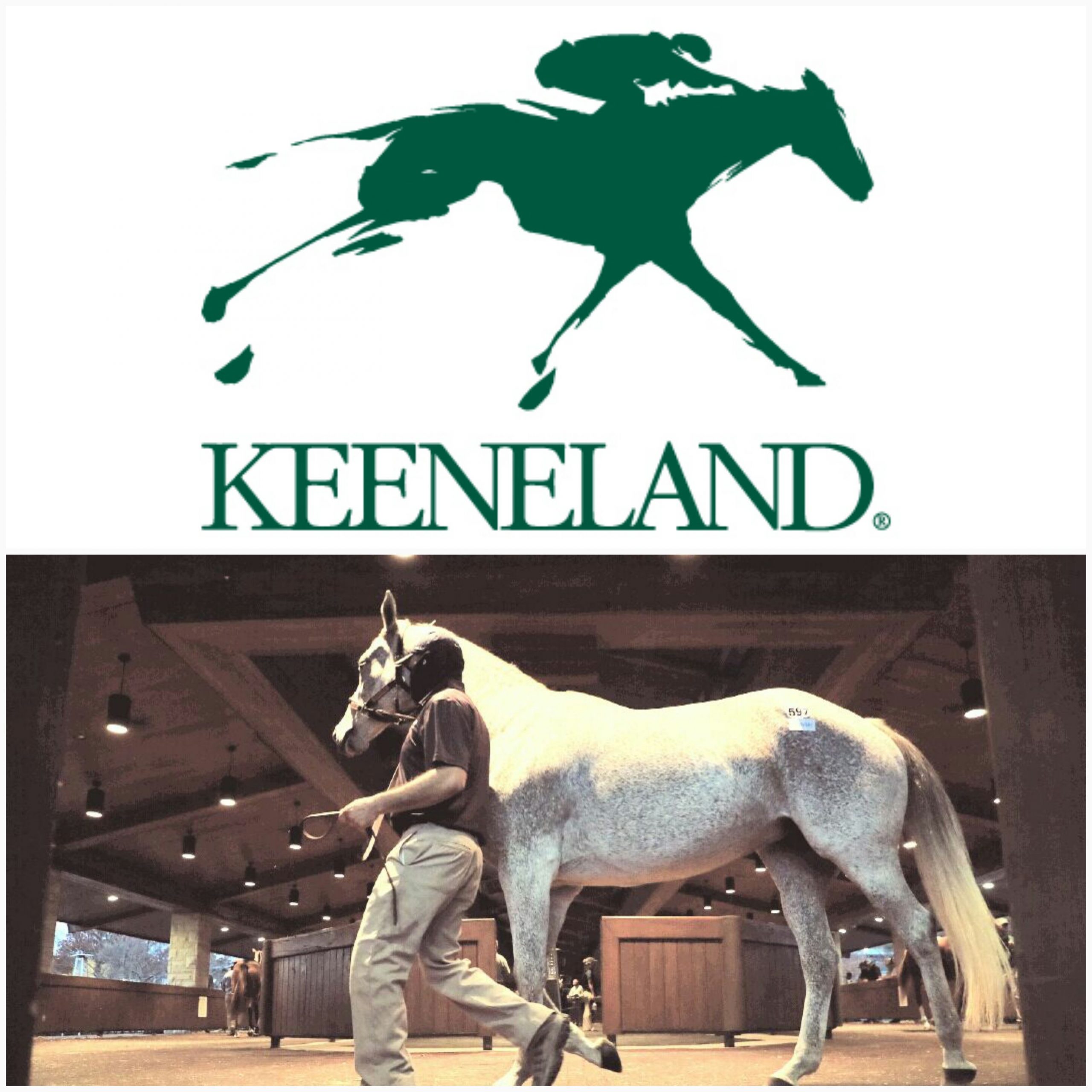 Keeneland Announces December Digital Sale - Past The Wire