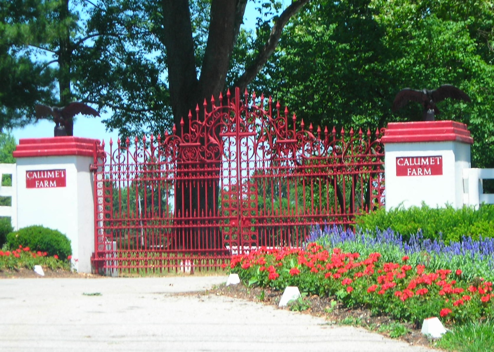 Calumet Farm: A One Time Dynasty Trying To Return - Past The Wire