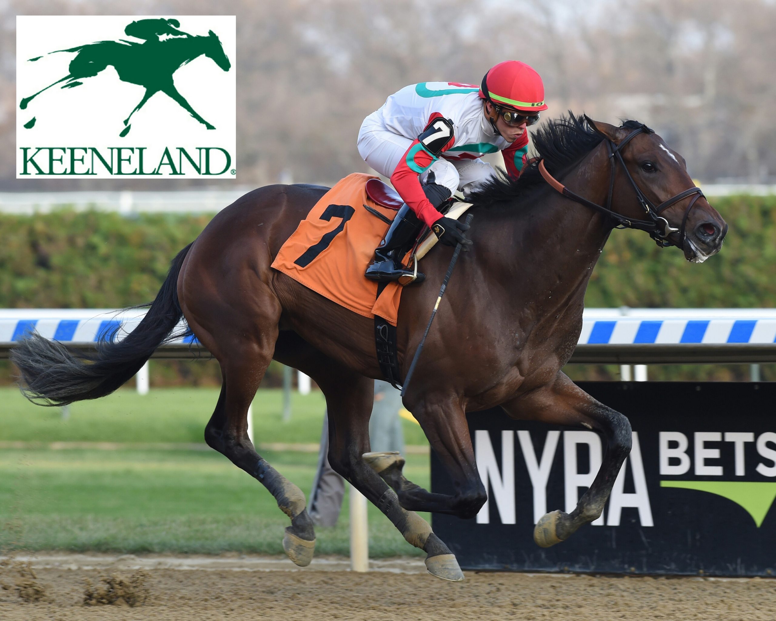 Country Grammer among horses in Paul Pompa Jr. Dispersal at Keeneland’s ...
