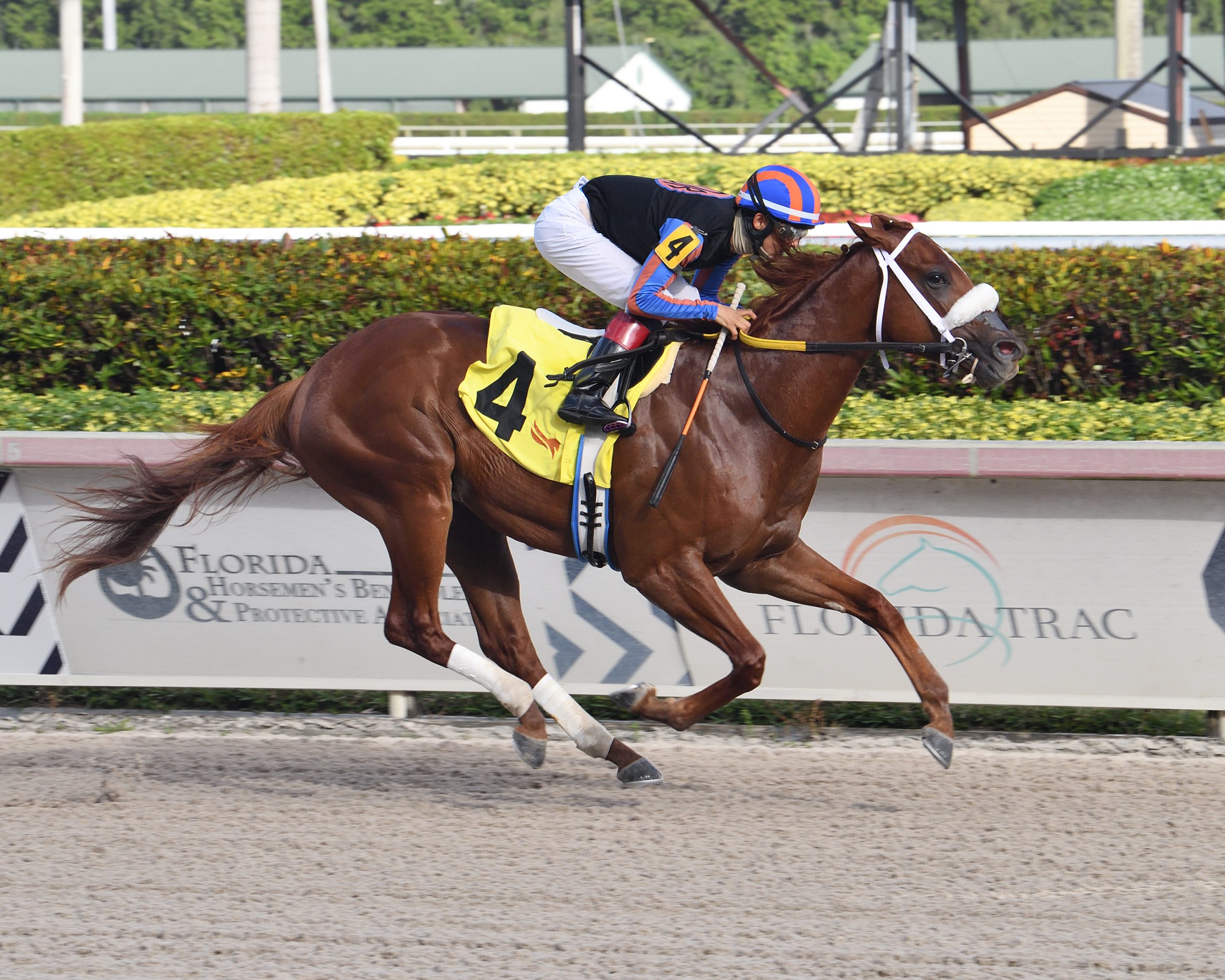 Drain the Clock Rebounds in Big Way in Saturday’s Limehouse - Past The Wire