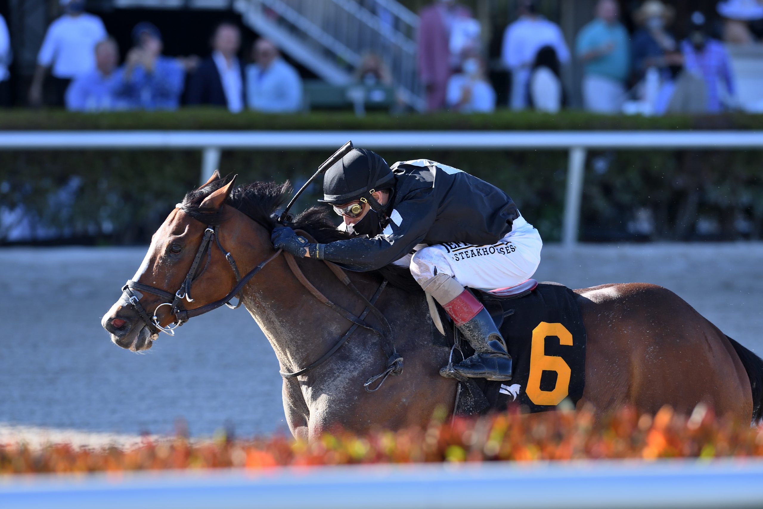 Pacific Gale Upsets The Inside Information G2 Stakes %%page%% - Horse ...