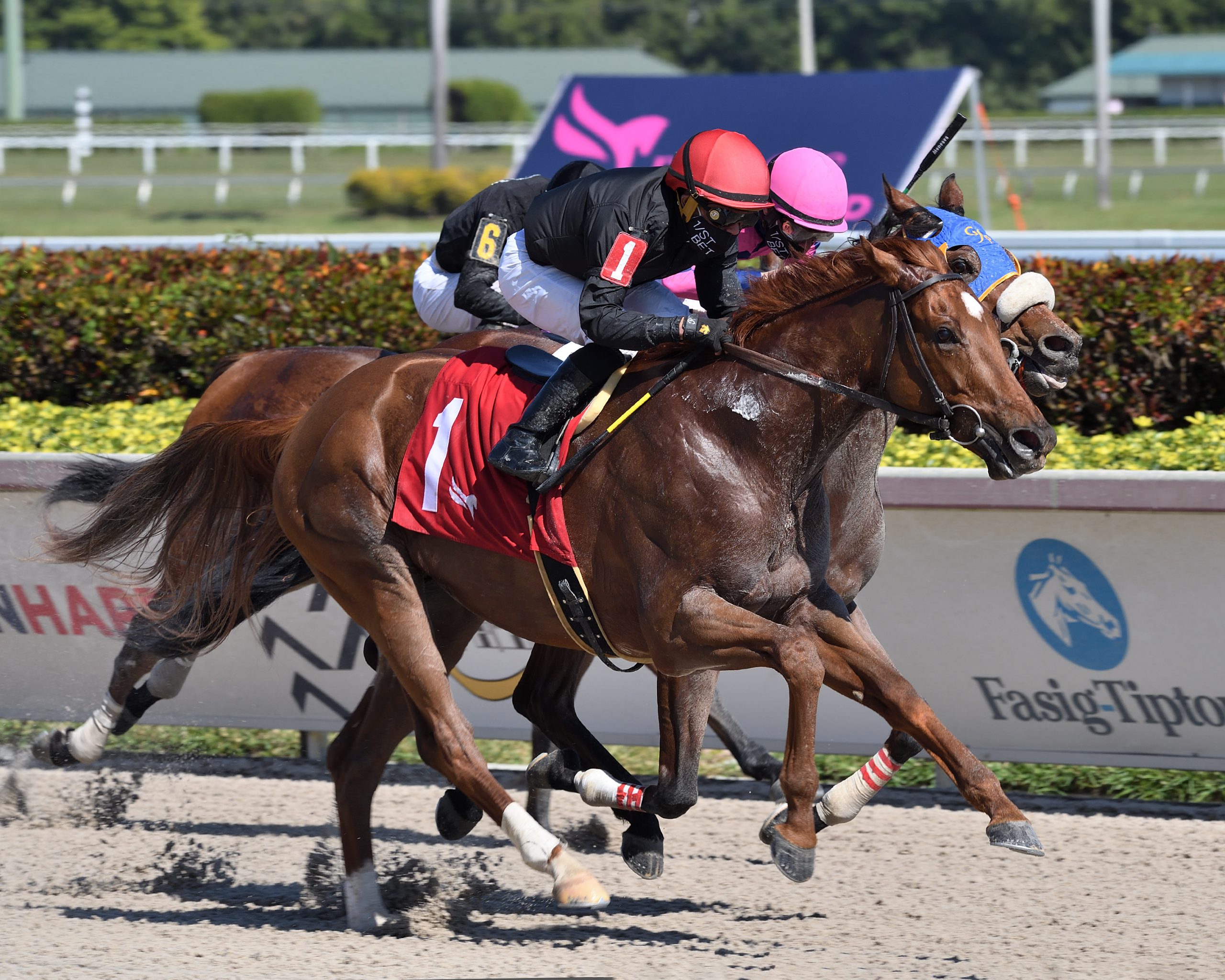 Performer Wins Fred Hooper With Closing Effort %%page%% - Horse Racing News