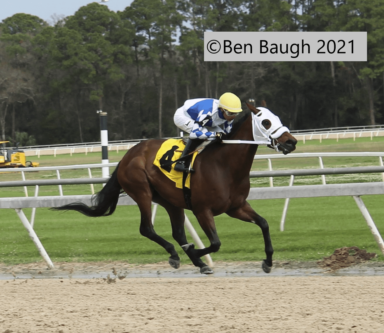 The Goddess Lyssa lives up to her name with impressive victory - Past ...