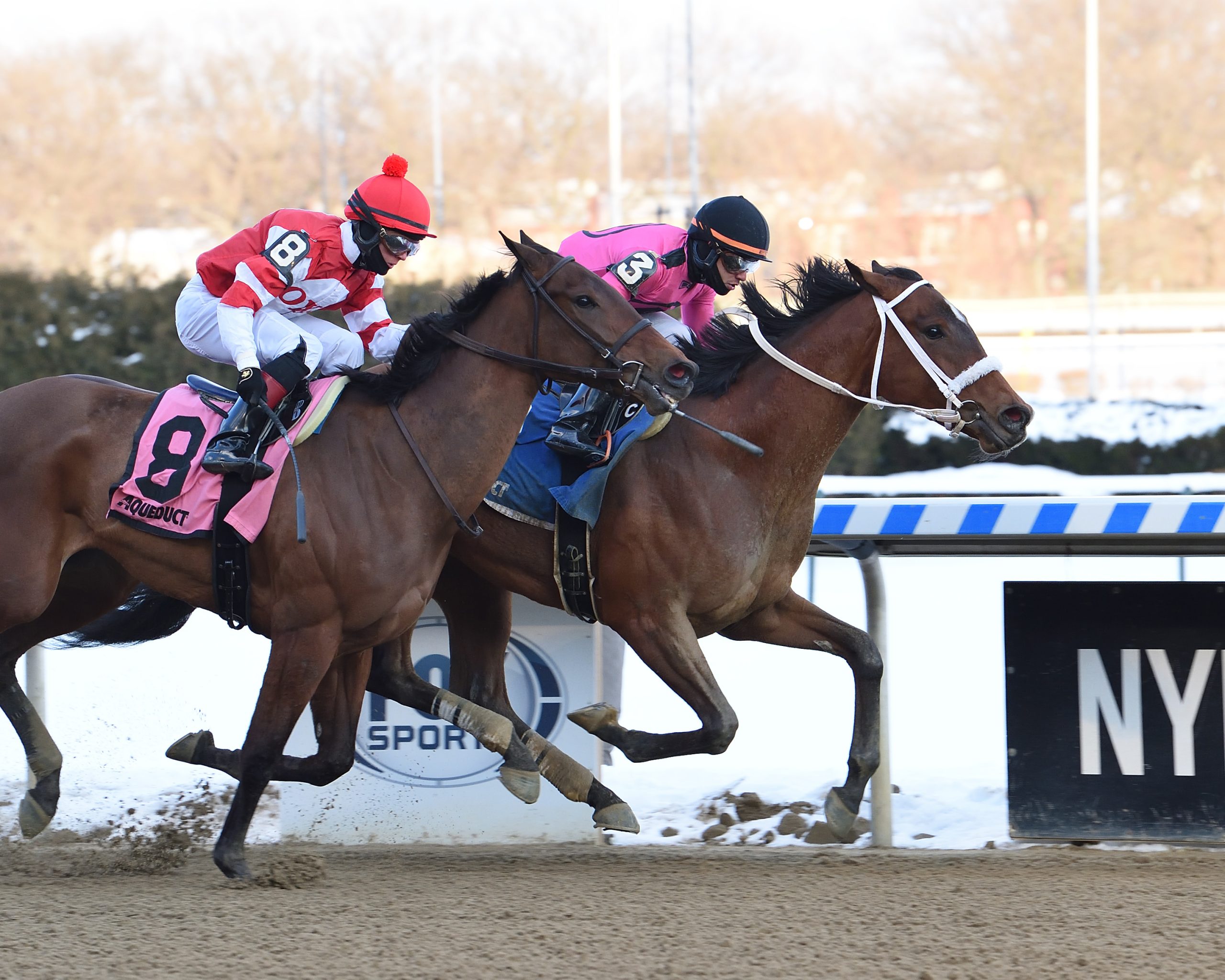 Make Mischief saves best for last in late-rallying Maddie May score ...