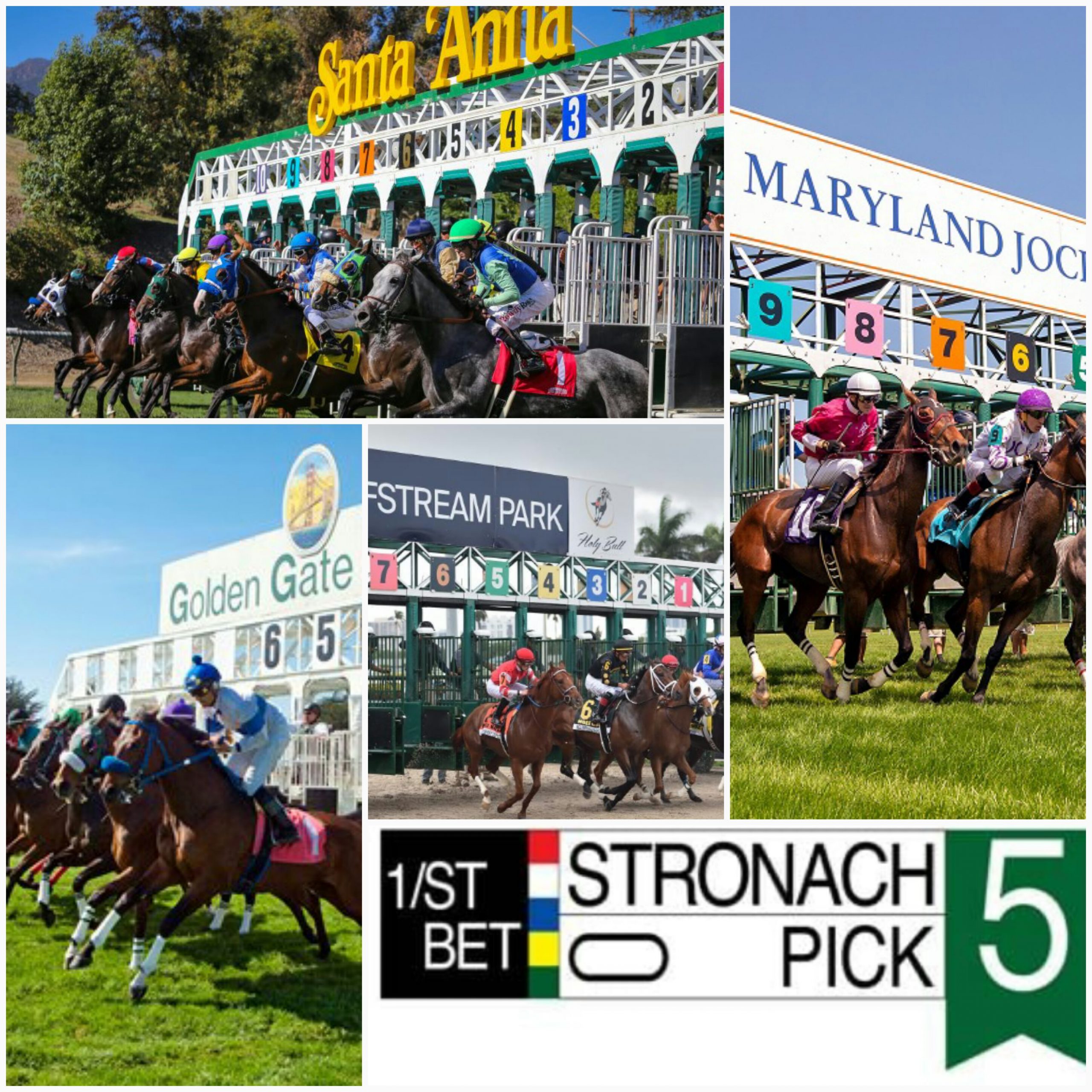Three Turf Sprints Highlight Friday’s Stronach 5 at Five Tracks - Past ...