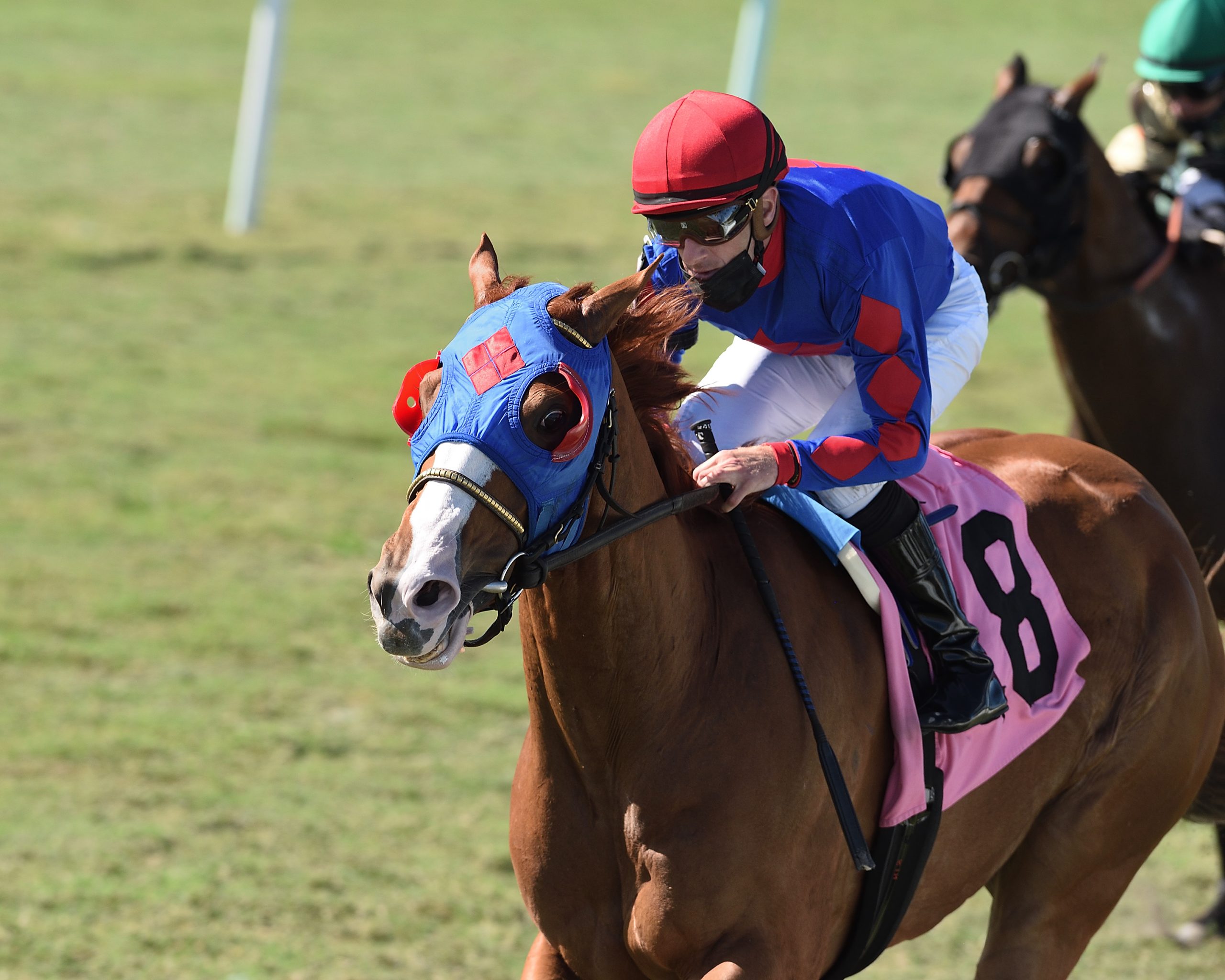 Churn N Burn goes the distance in $200,000 Pan American (G2) - Past The ...