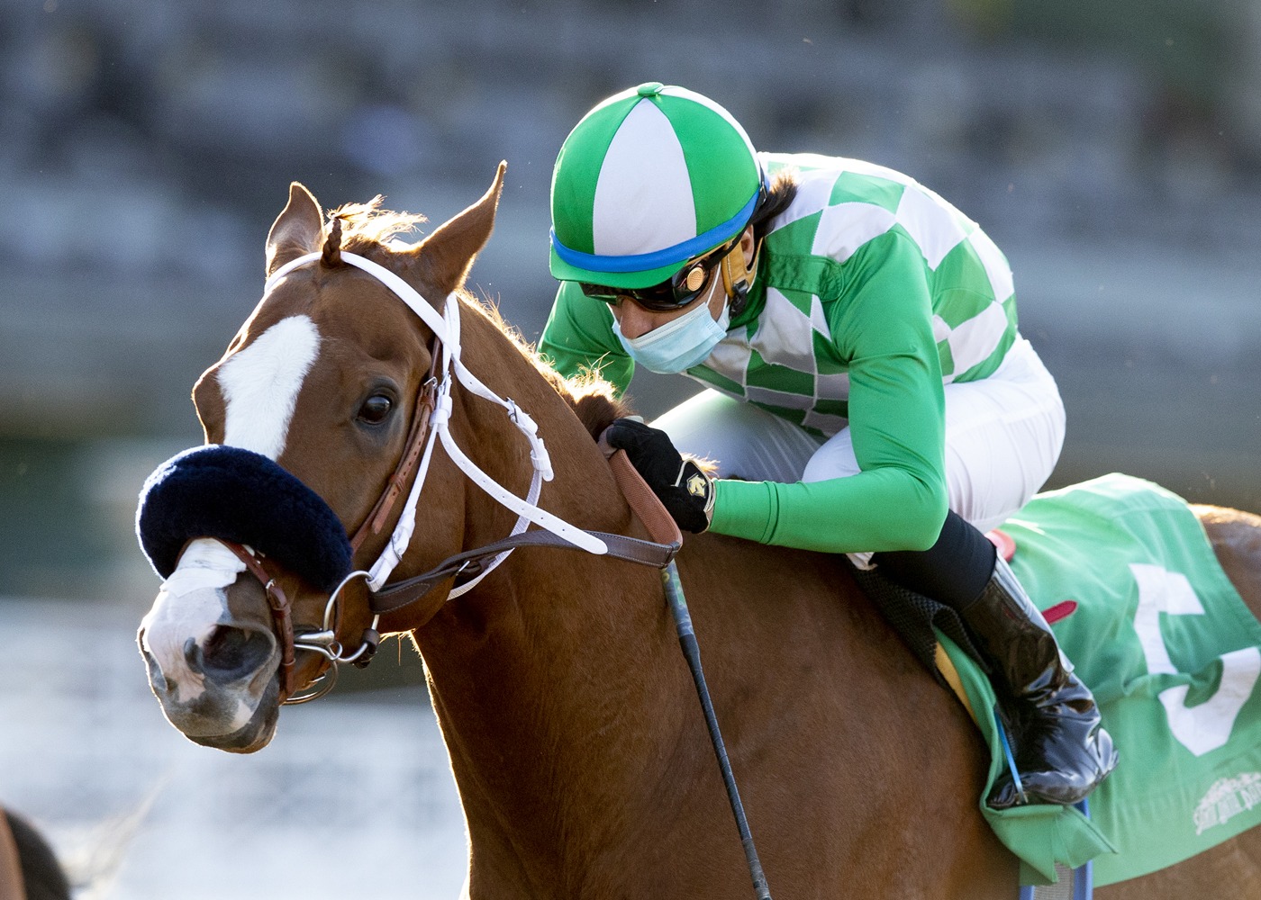 Fashionably Fast steps up to face front-running Ax Man and speedy ...