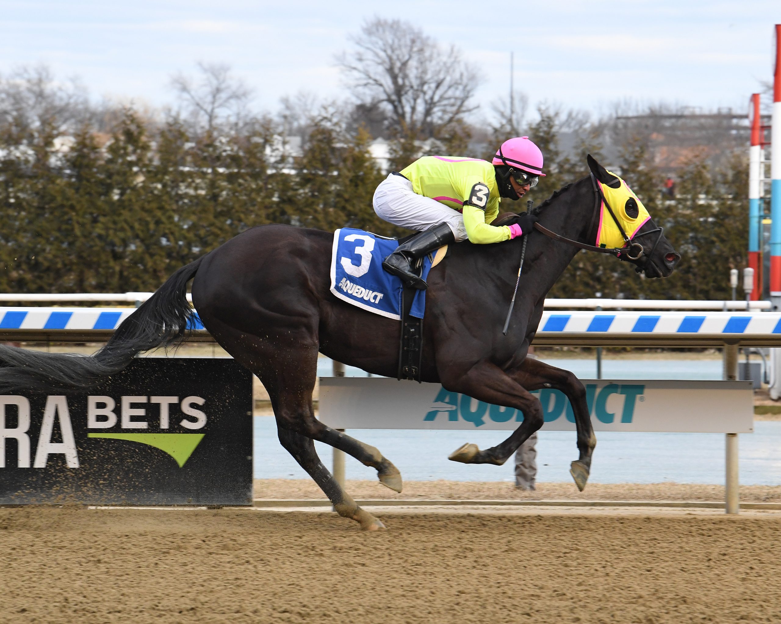 Chateau towers above competition in wiring G3 Tom Fool field - Past The ...