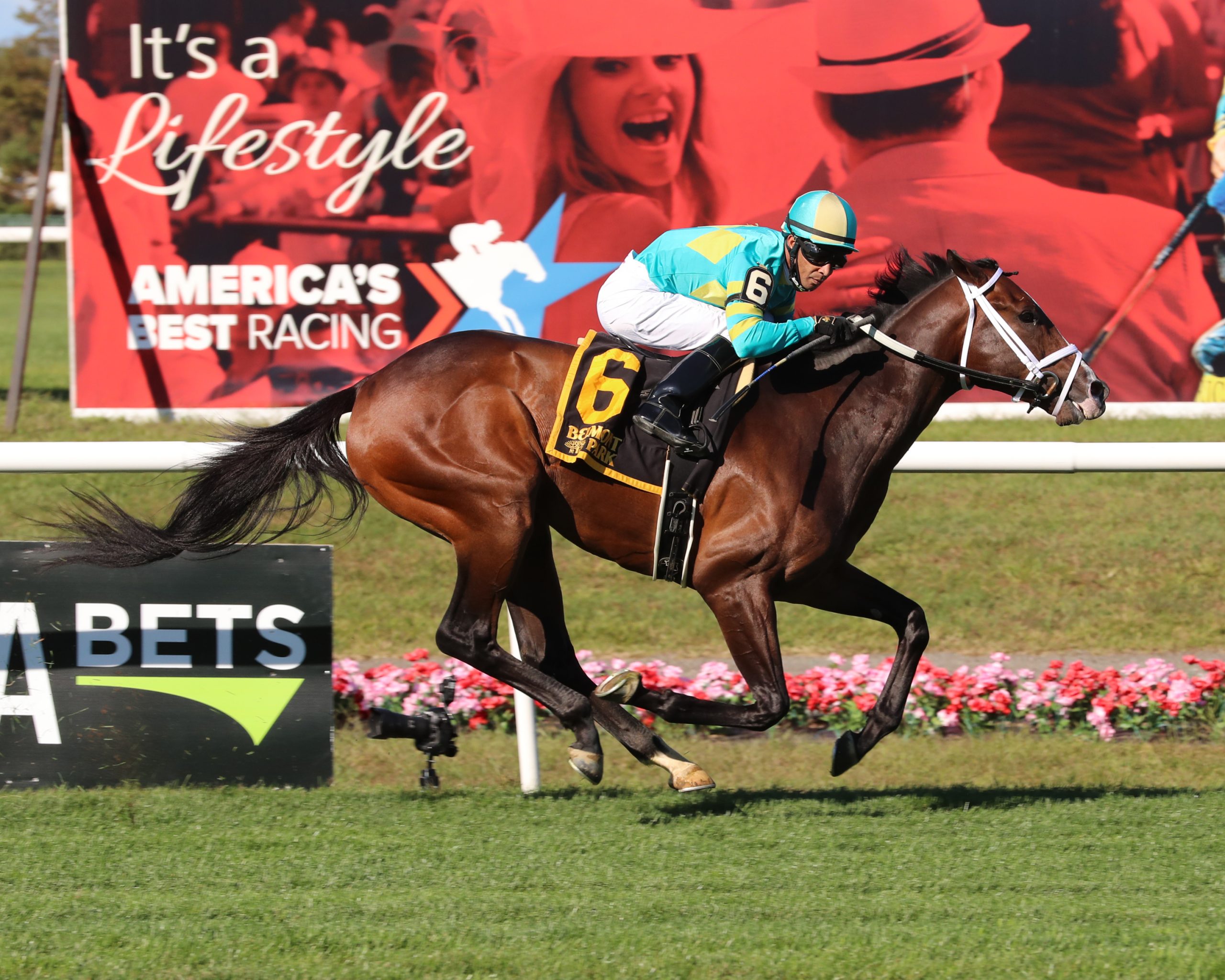 Turf Triple series the long term goal for Fire At Will - Past The Wire